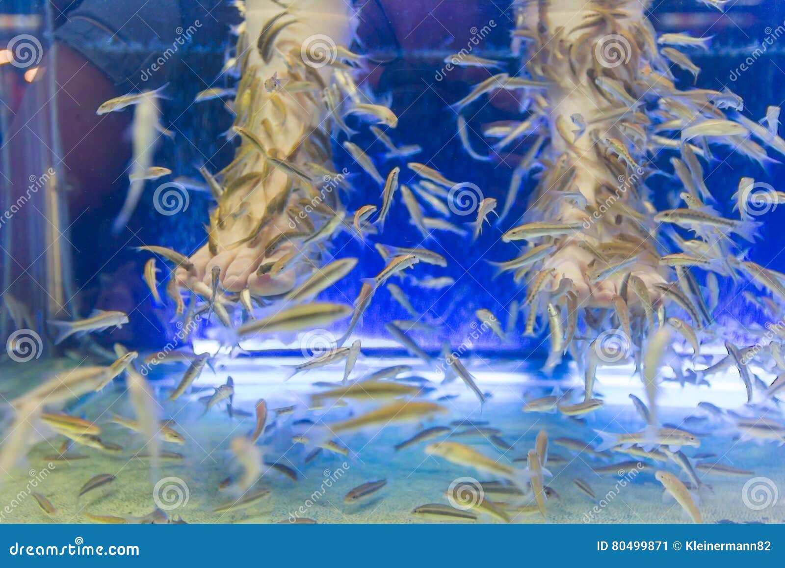 Fish Spa in a Blue Lighted Basin Stock Image - Image of concept, cure ...