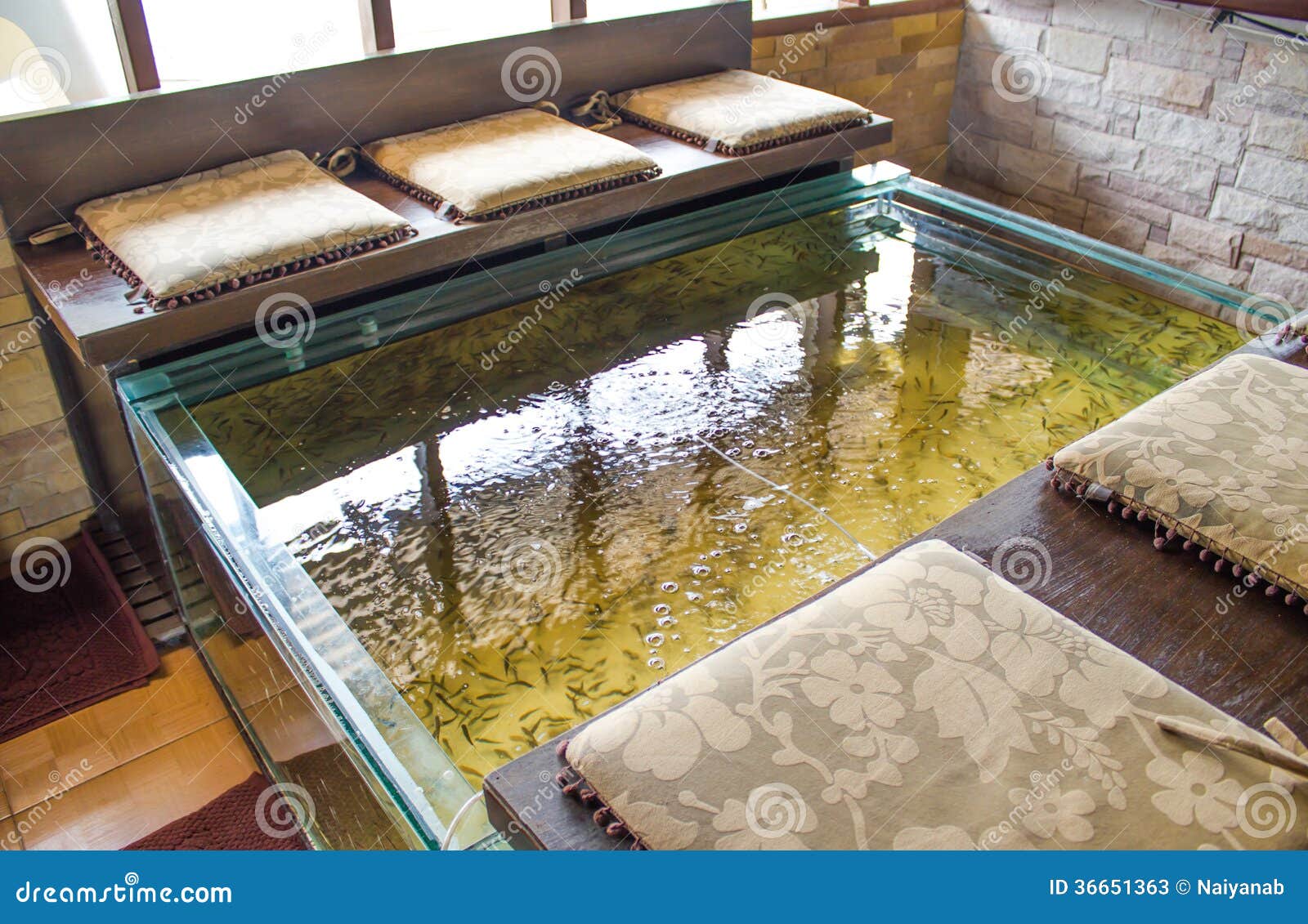 Fish spa stock image. Image of skincare, relax, hygiene - 36651363