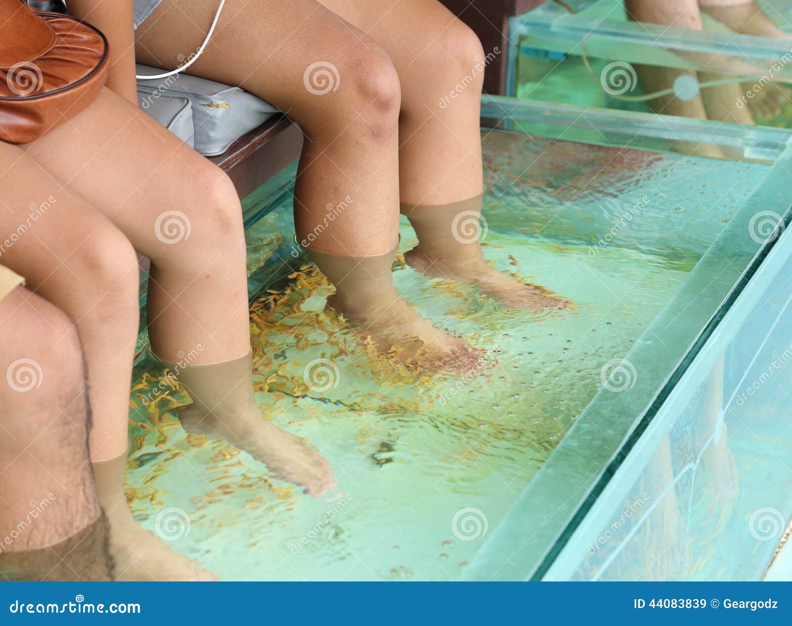 Fish Spa Skin Therapy stock image. Image of garra, massage - 44083839