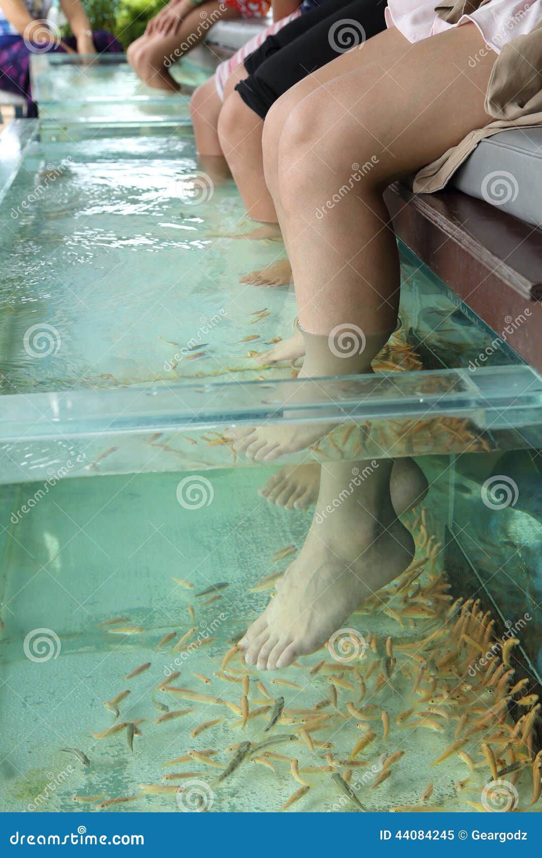 Fish Spa Skin Therapy stock image. Image of care, healthy - 44084245