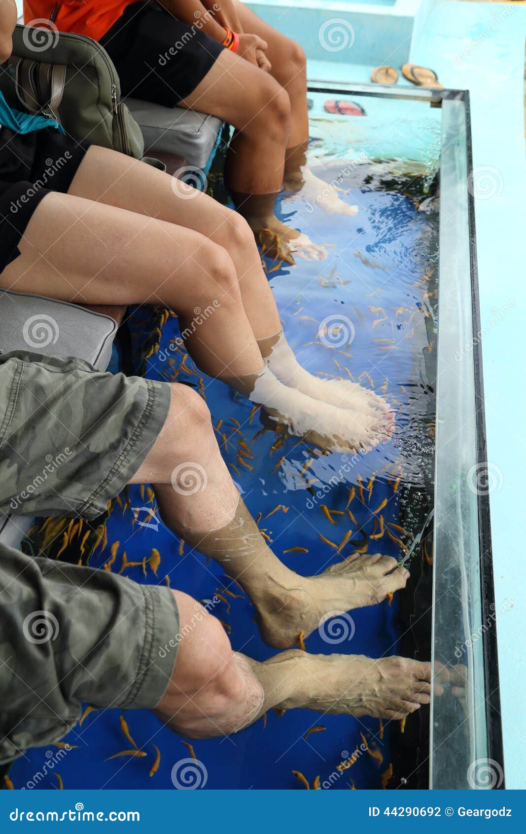 Fish Spa Skin Therapy stock photo. Image of beautiful - 44290692