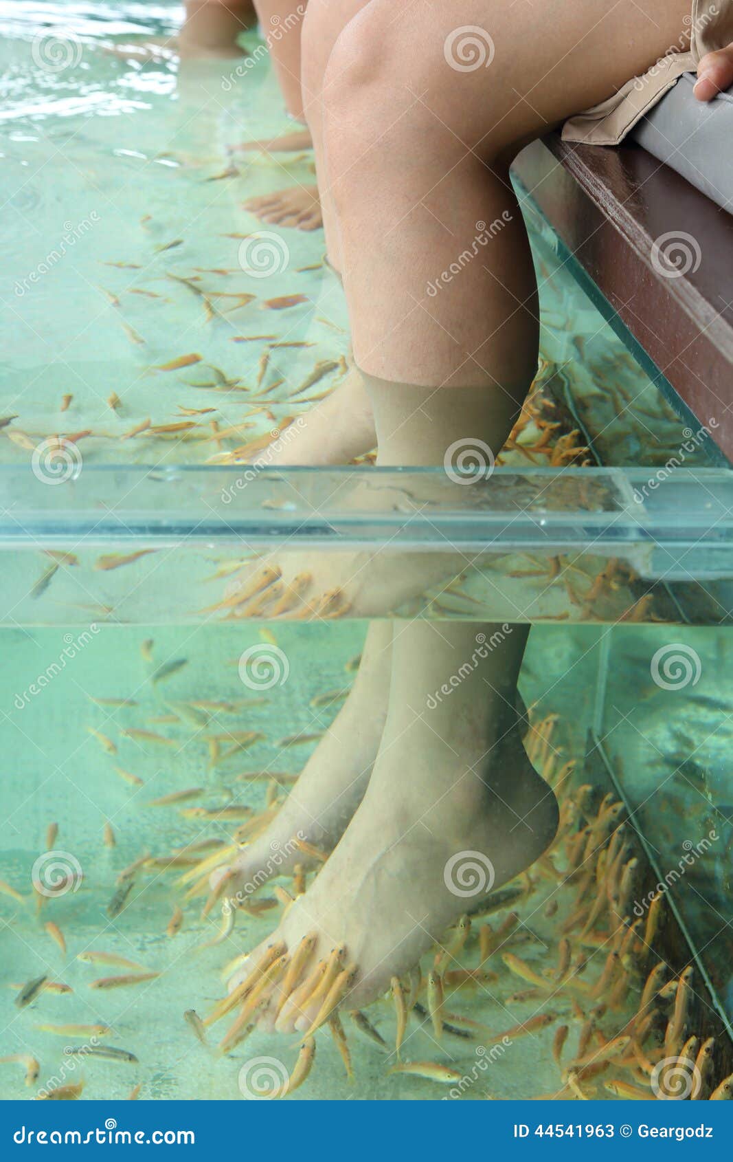 Fish Spa Skin Therapy stock image. Image of healthy, closeup - 44541963