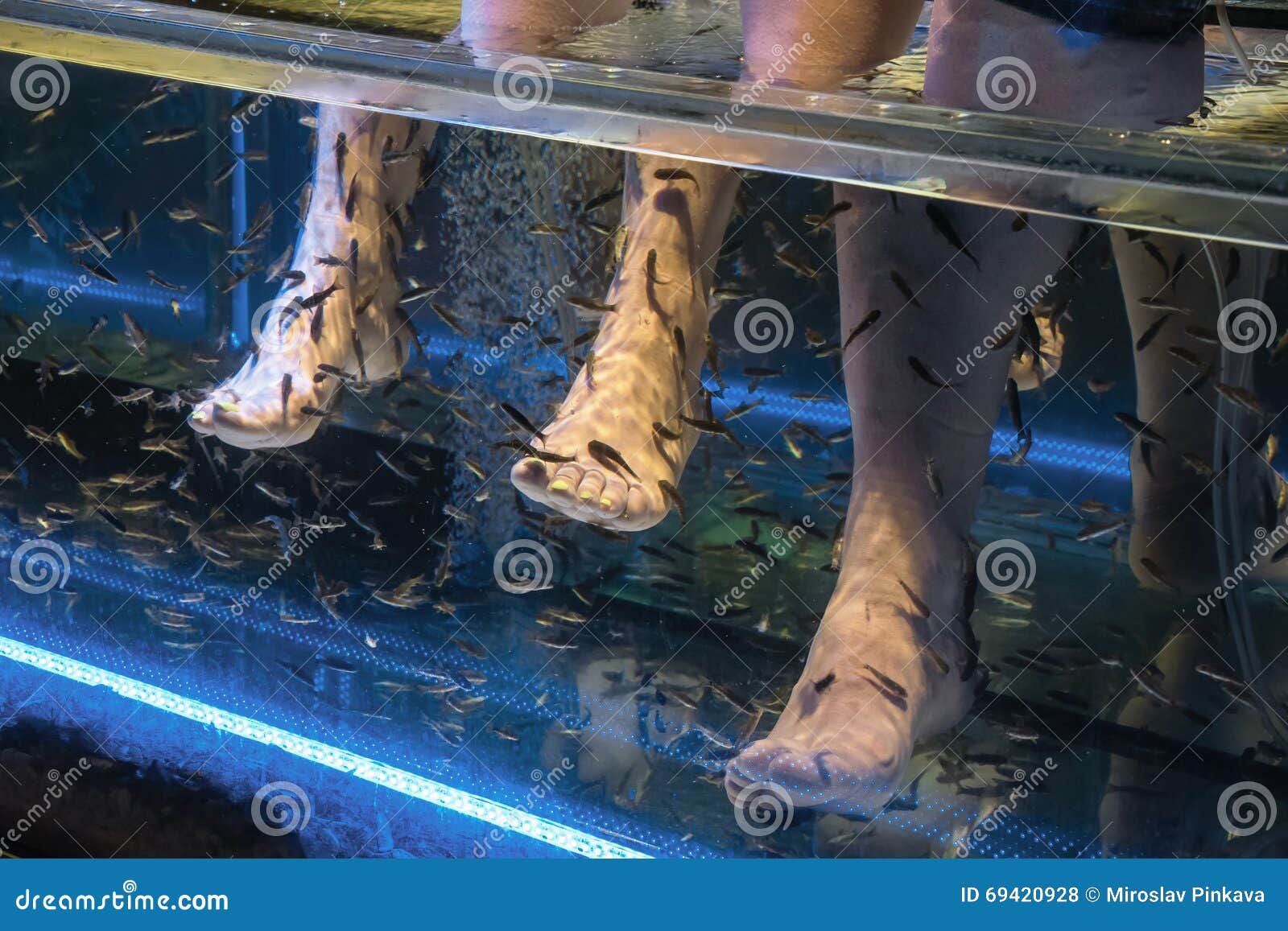 Fish spa skin therapy stock photo. Image of skin, salon - 69420928