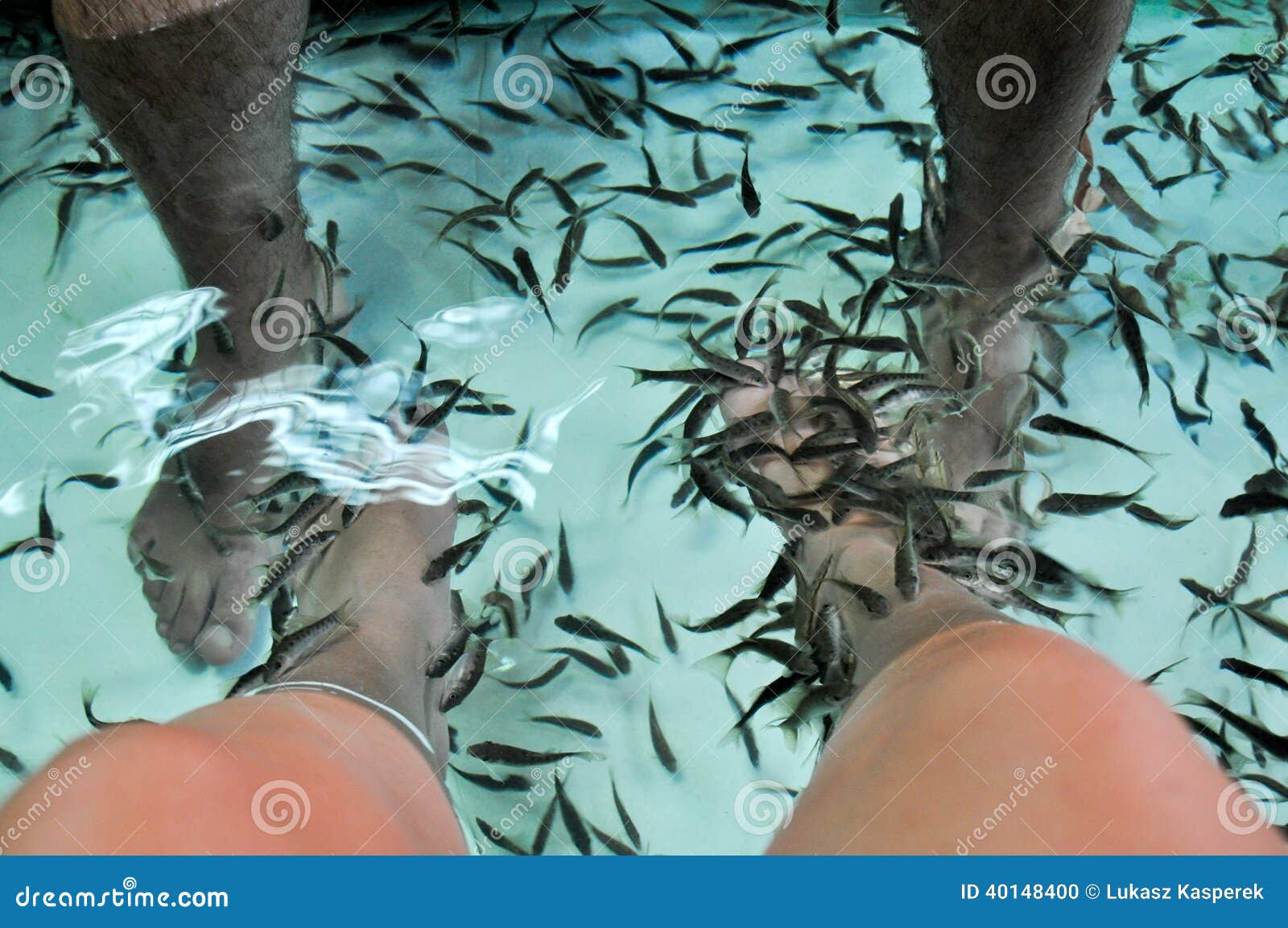 Fish spa therapy stock photo. Image of gorgeous, feet - 40148400