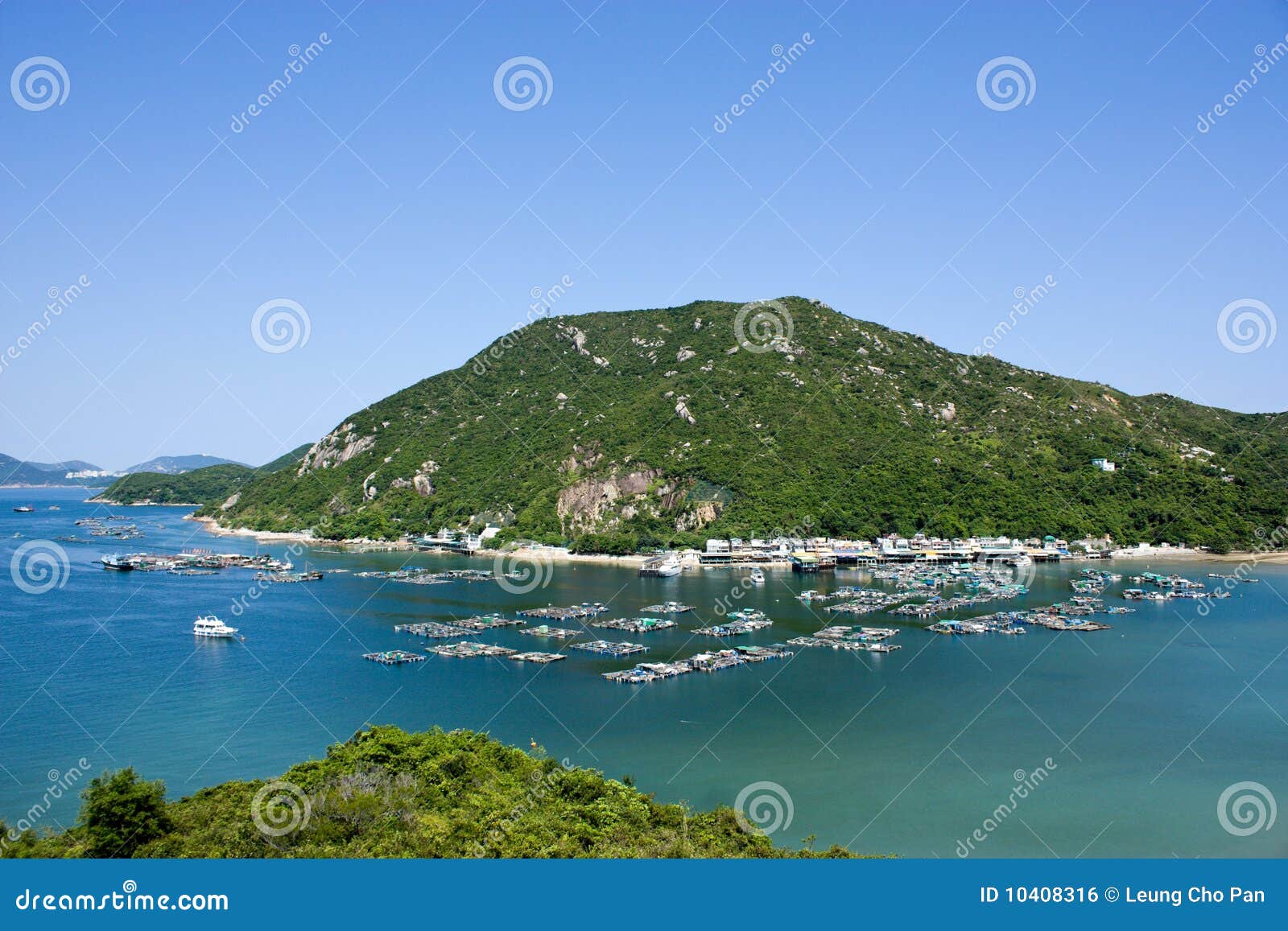 Fish Spawning Grounds in Hong Kong Stock Photo - Image of kong, feed ...
