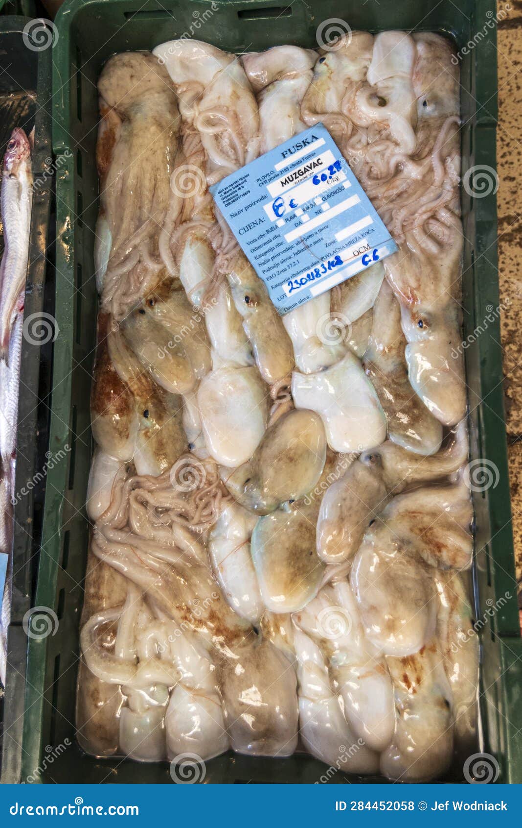 Fish at the Split Fish Market in Croatia. Editorial Stock Photo - Image ...