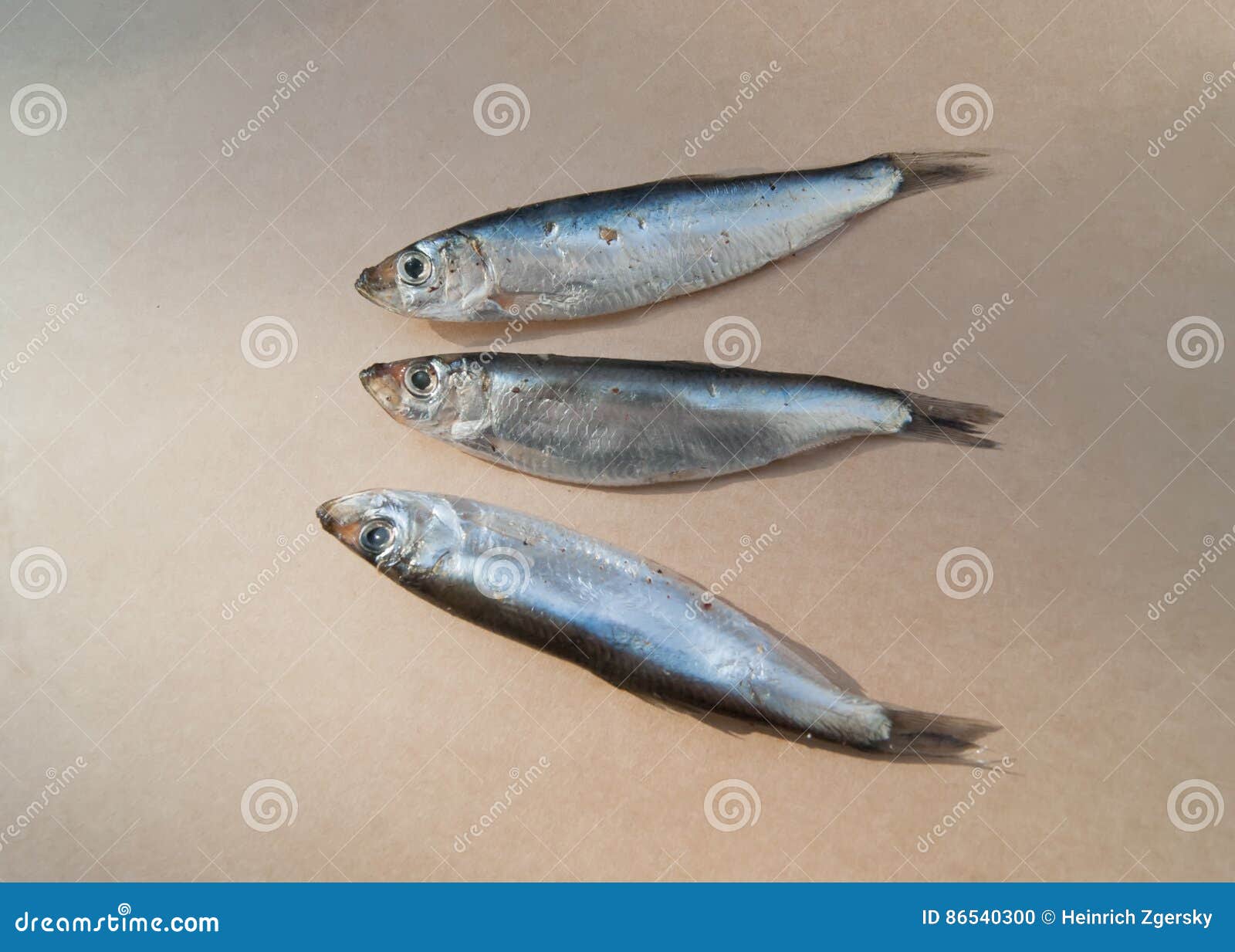 Fish-sprat stock photo. Image of whitebait, food, products - 86540300