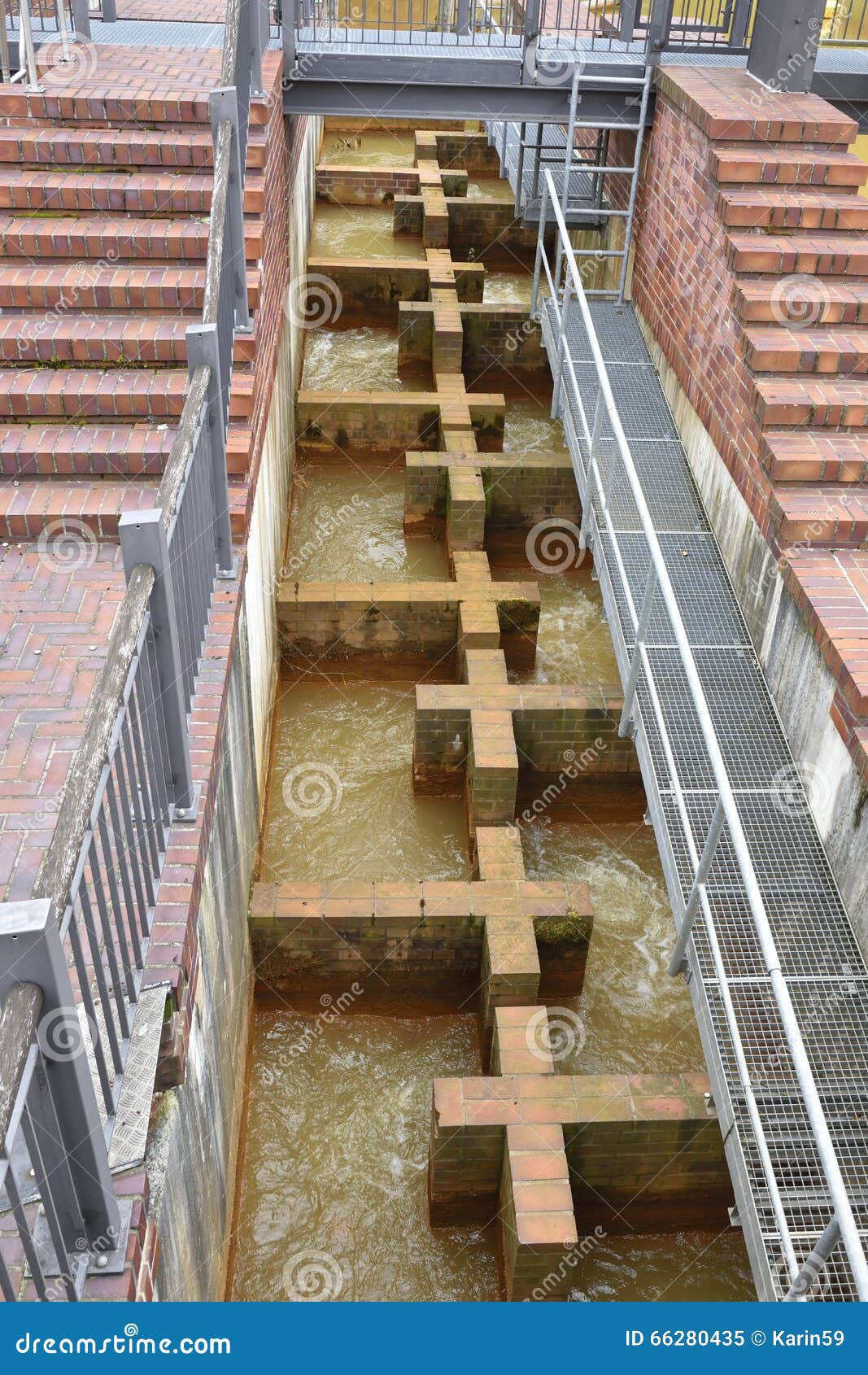 Fish staircase stock image. Image of beautiful, small - 66280435