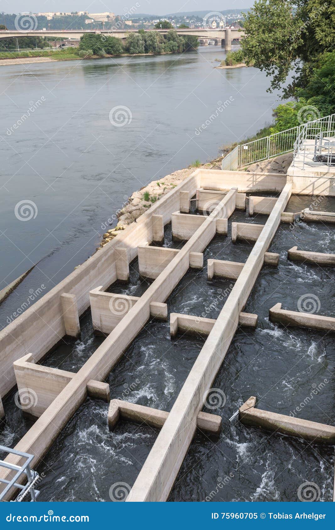 Fish Stairs at the Mosel River Koblenz Germany Stock Image - Image of ...