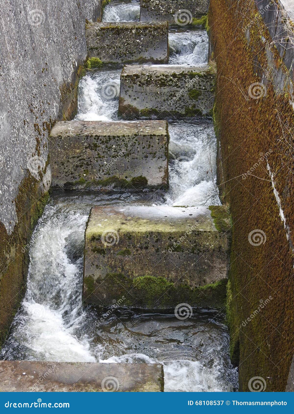 Fish stairs stock image. Image of station, travel, stairs - 68108537