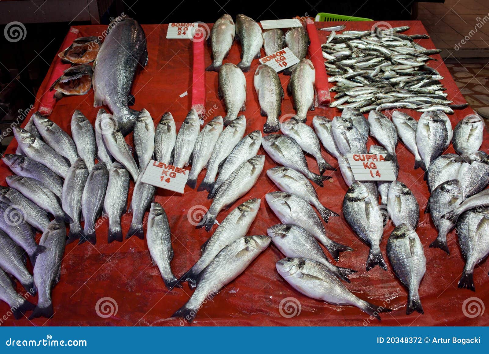 Fish Stall stock photo. Image of market, seafood, salmon - 20348372
