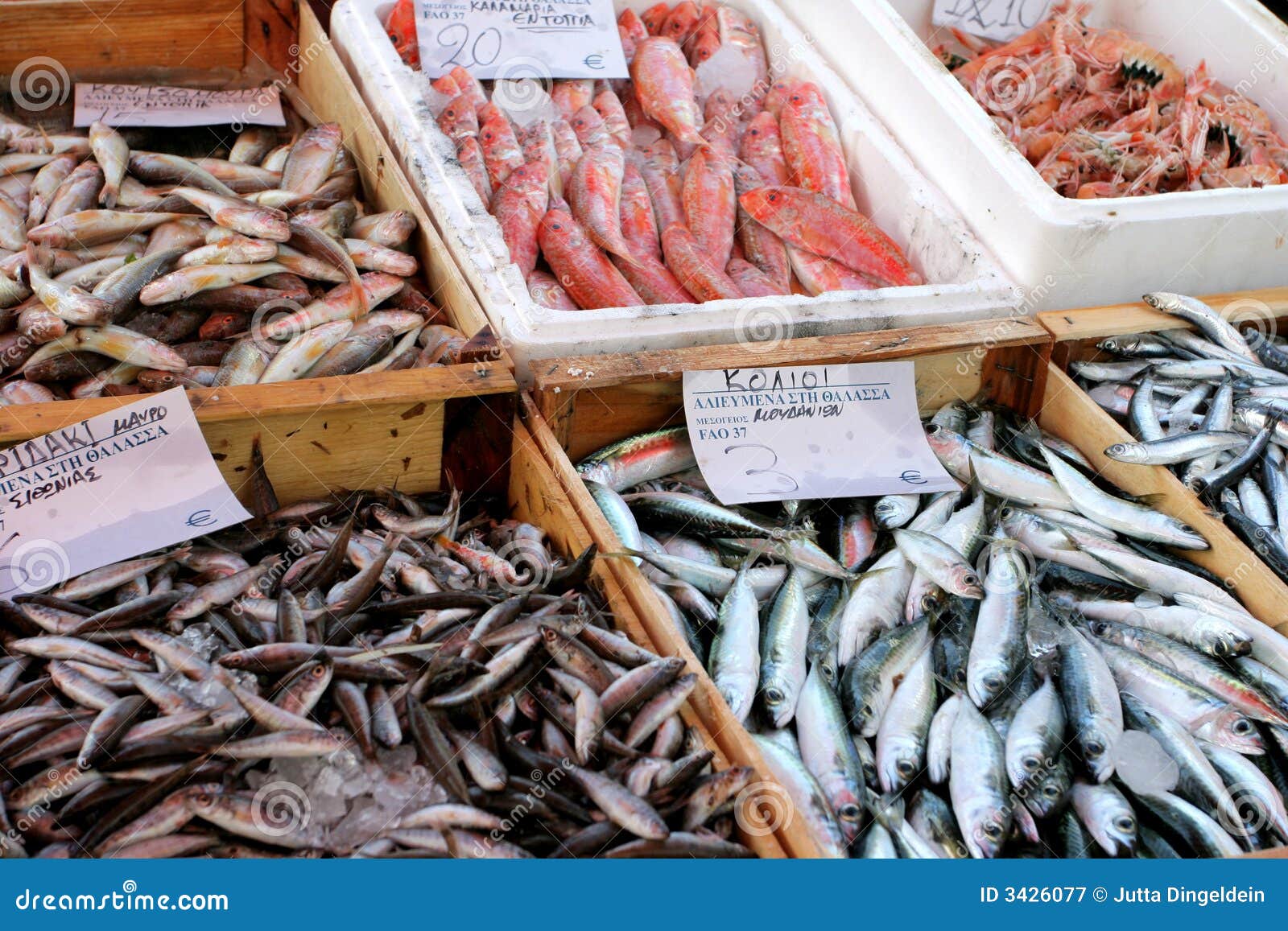 Fish stall stock image. Image of stall, farmers, fish - 3426077