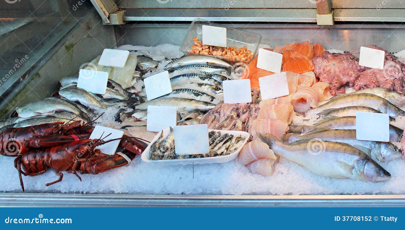 Fish stall stock photo. Image of assortment, stall, octopus - 37708152
