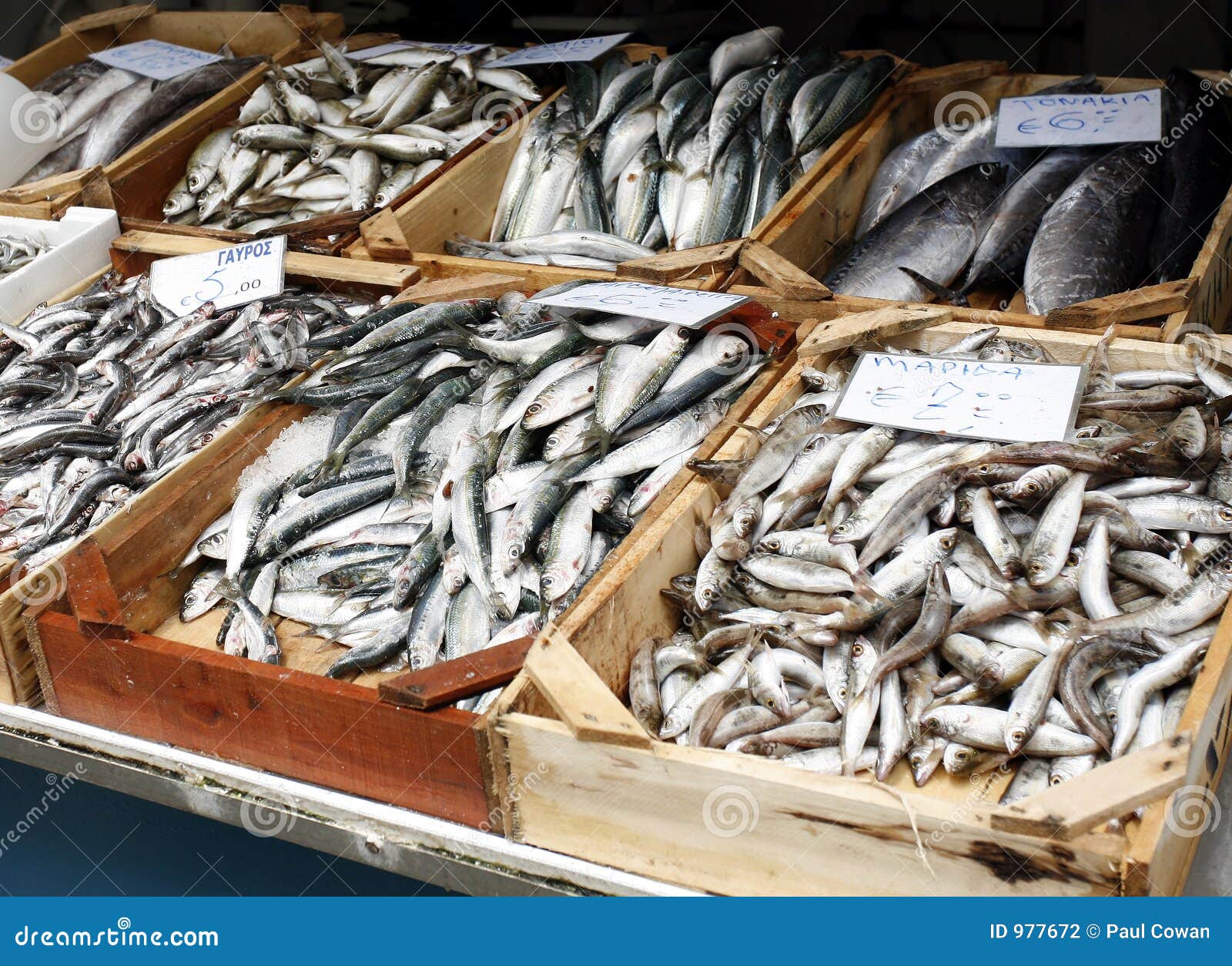 Fish stall stock photo. Image of fishing, scarce, mediterranean - 977672