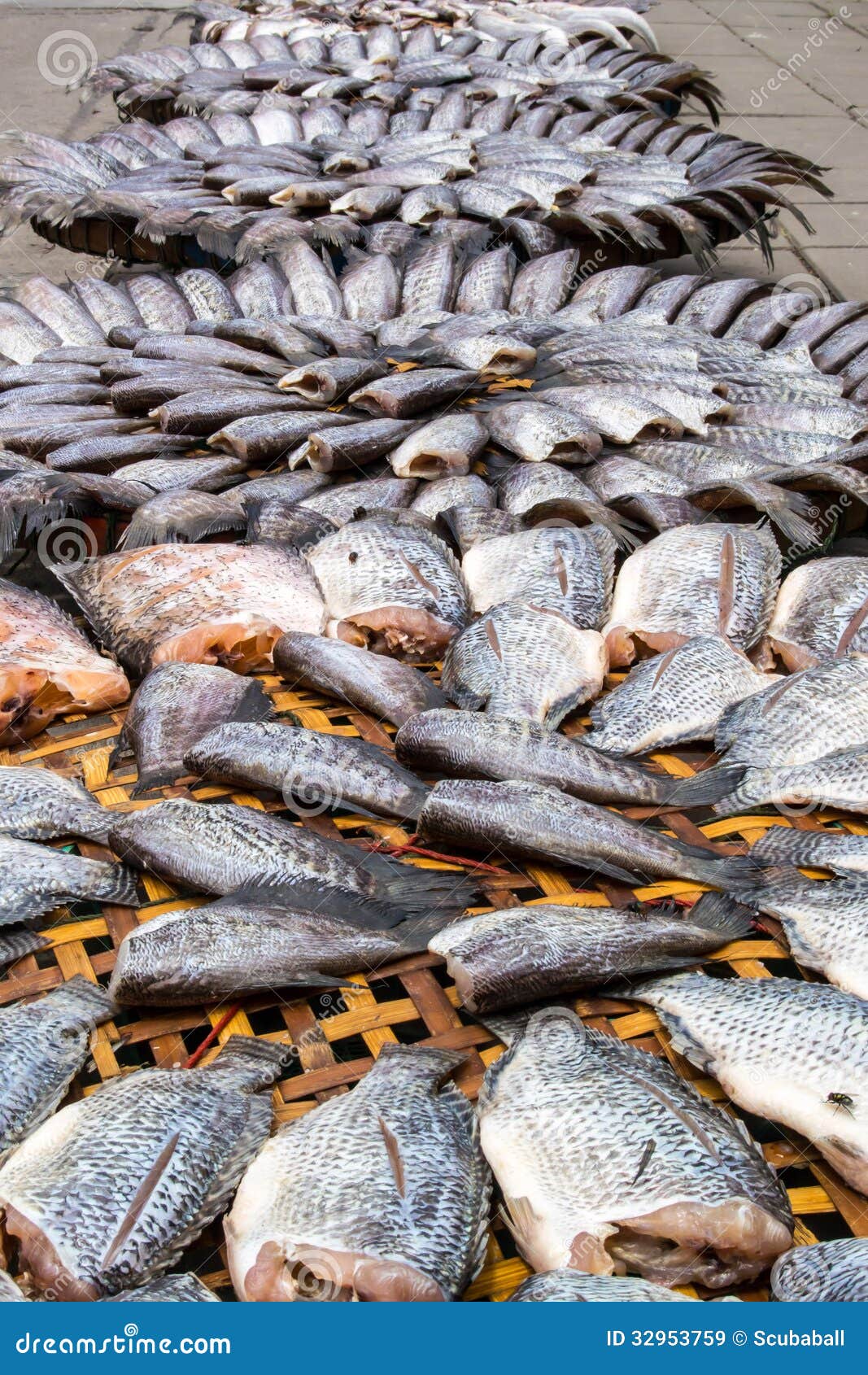 Fish stall stock image. Image of tilapia, cityscape, hungry - 32953759