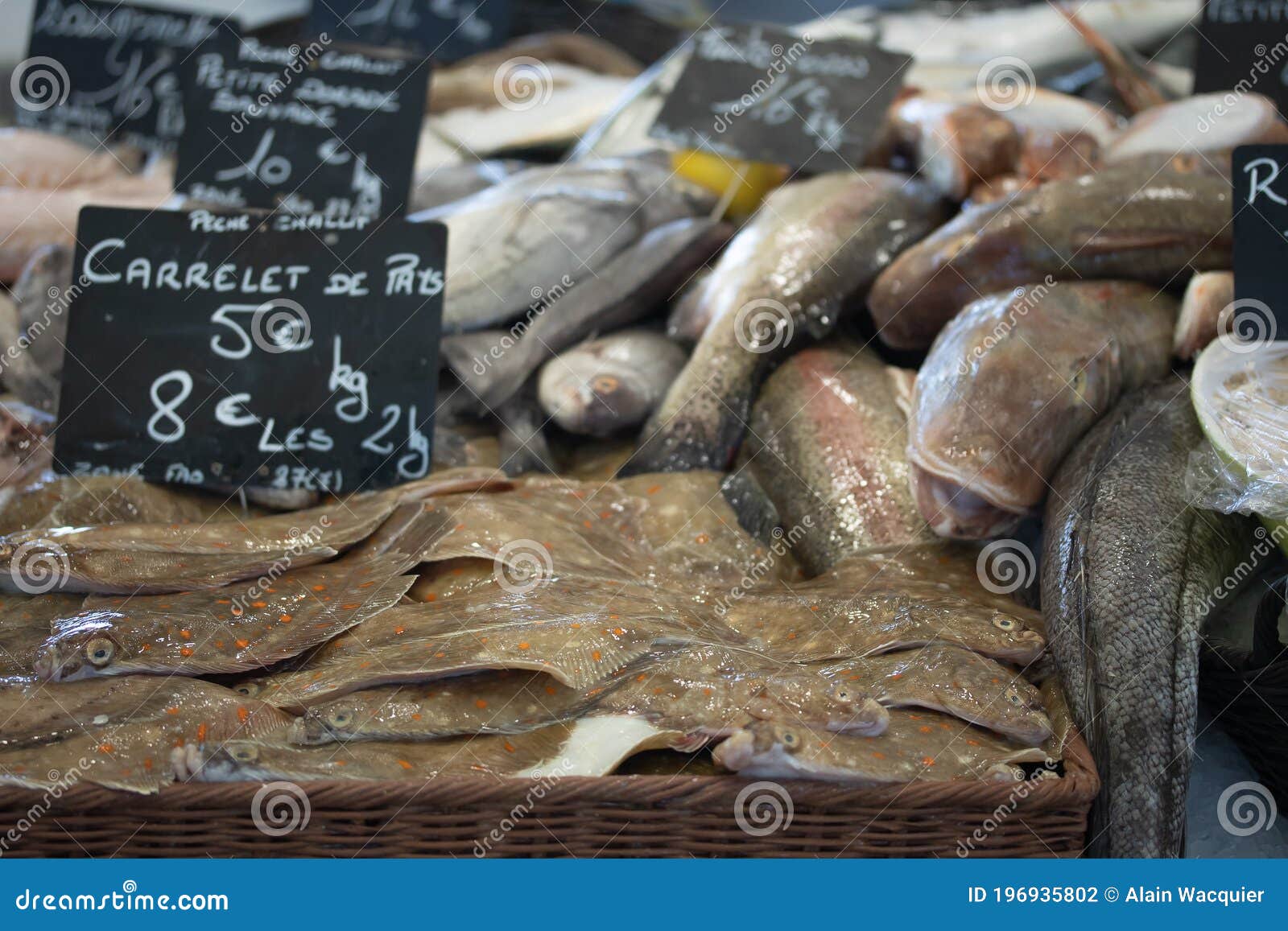 Fish stall in a fish shop stock photo. Image of fresh - 196935802