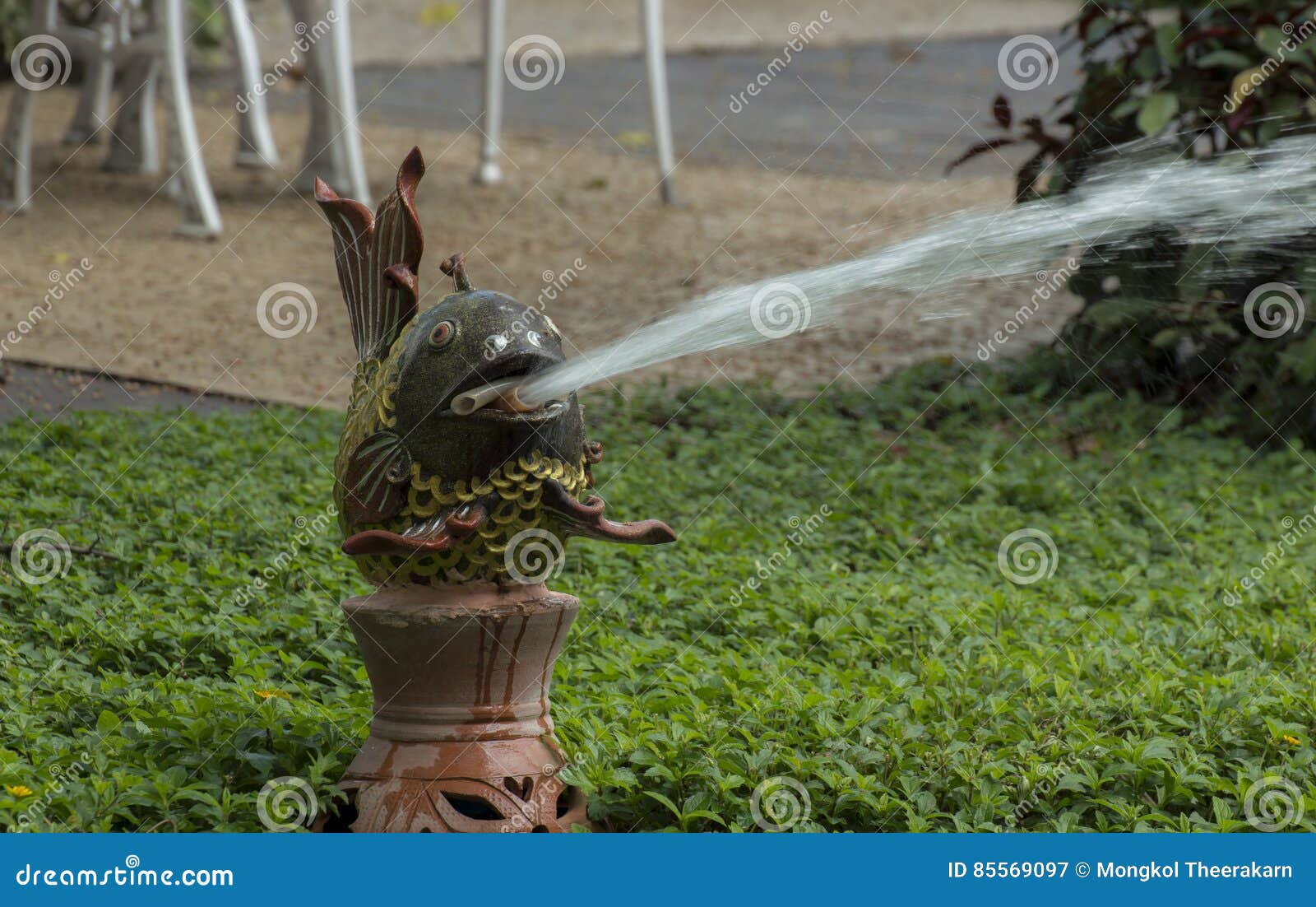 Fish statue spout water stock image. Image of fish, garden - 85569097