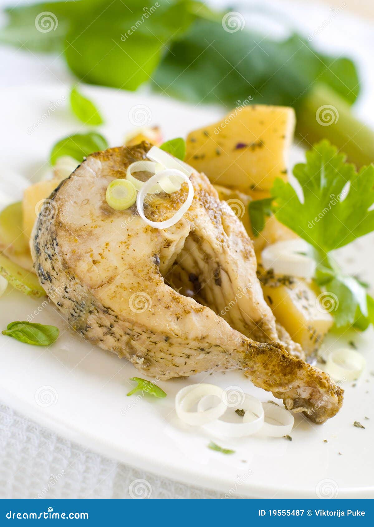 Fish steak stock image. Image of dining, meal, leek, healthy - 19555487