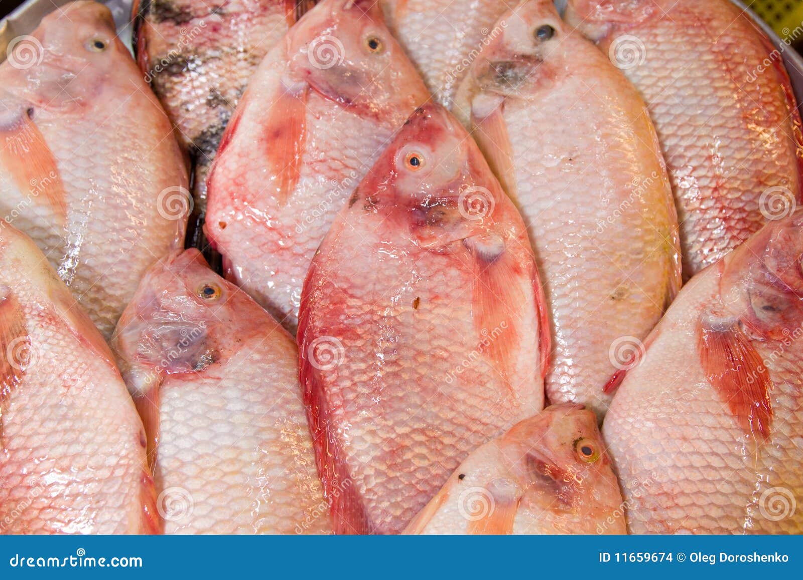 Fish stock stock photo. Image of nature, crop, shop, heap - 11659674
