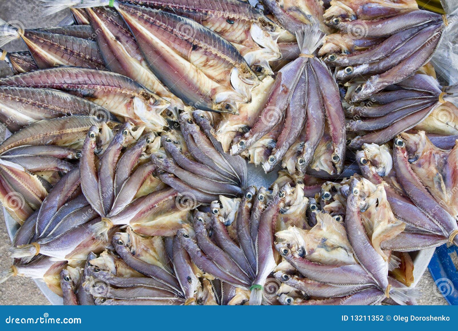 Fish stock stock photo. Image of colored, nature, market - 13211352