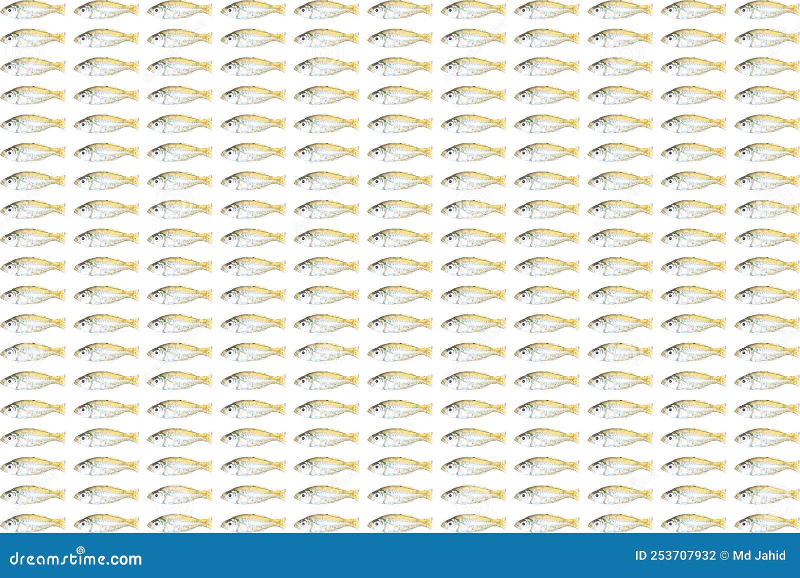 Fish Stock on White Background Stock Photo - Image of healthy, barbecue ...