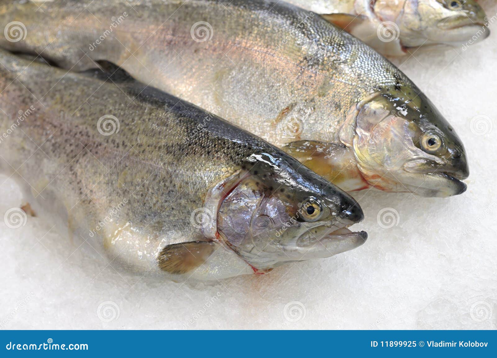Fish is on store shelves. stock image. Image of focus - 11899925