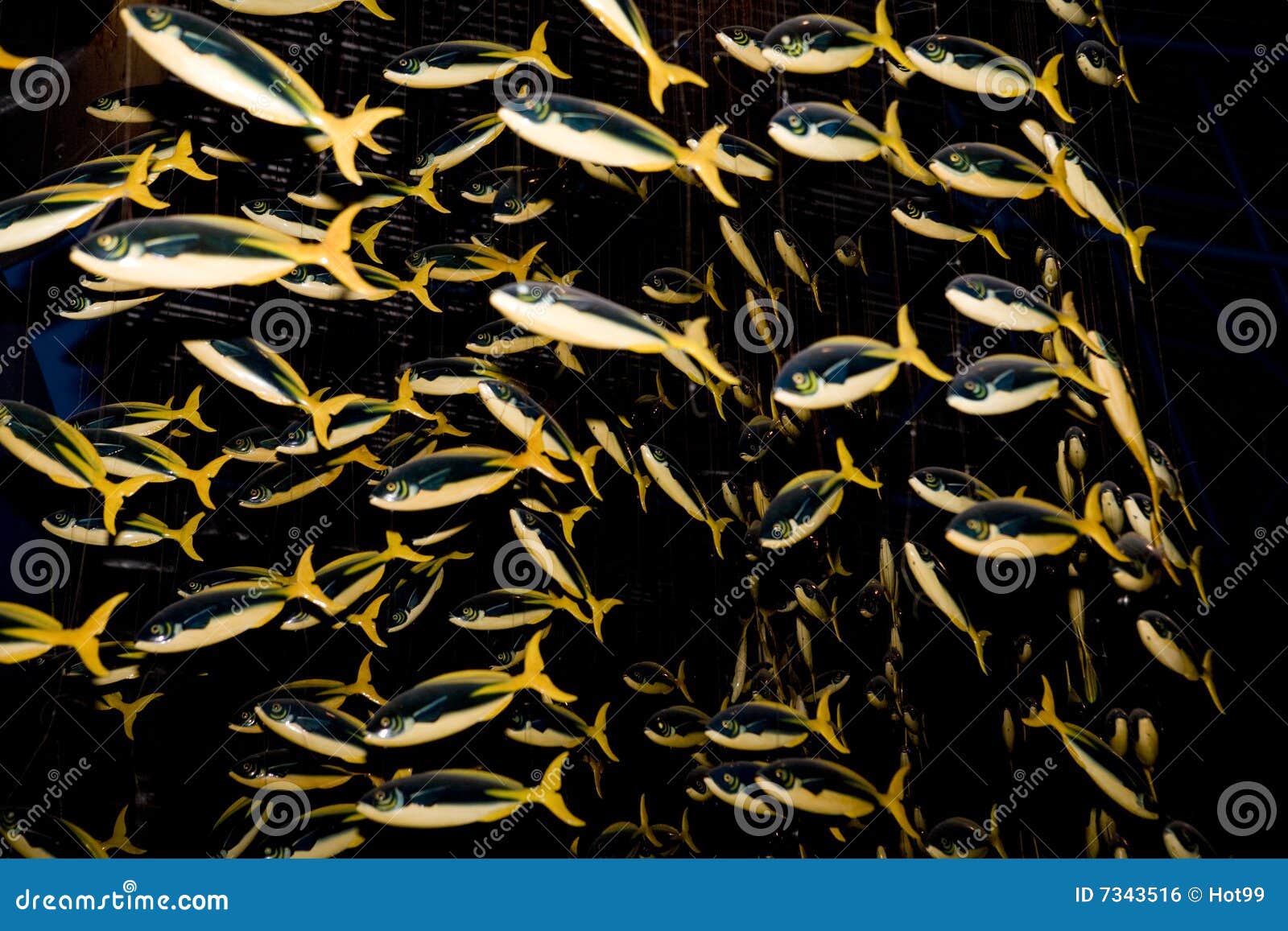 Fish storm stock photo. Image of blue, environment, diver - 7343516