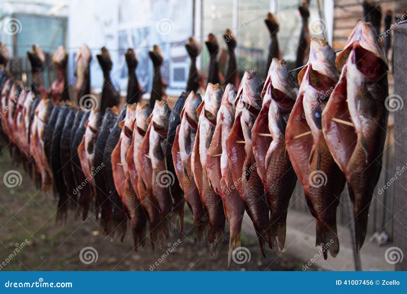 Fish on a String in a China Russia Border Village Stock Photo - Image ...
