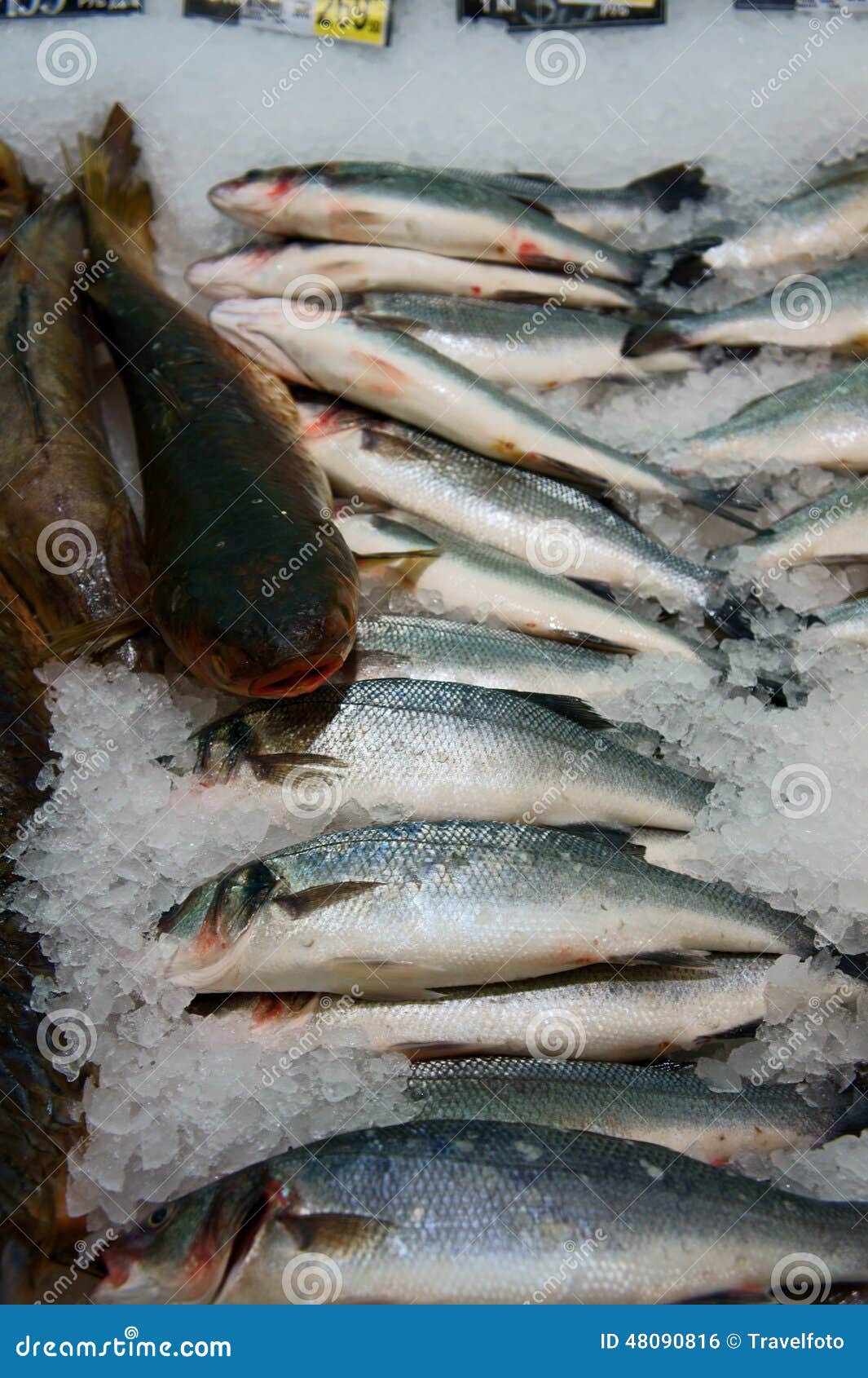 Fish in the supermarket stock photo. Image of catfish - 48090816
