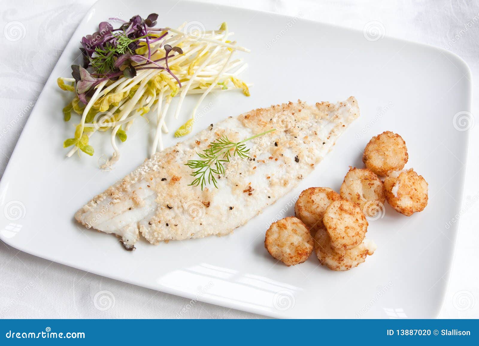 Fish Supper stock photo. Image of brown, white, green - 13887020