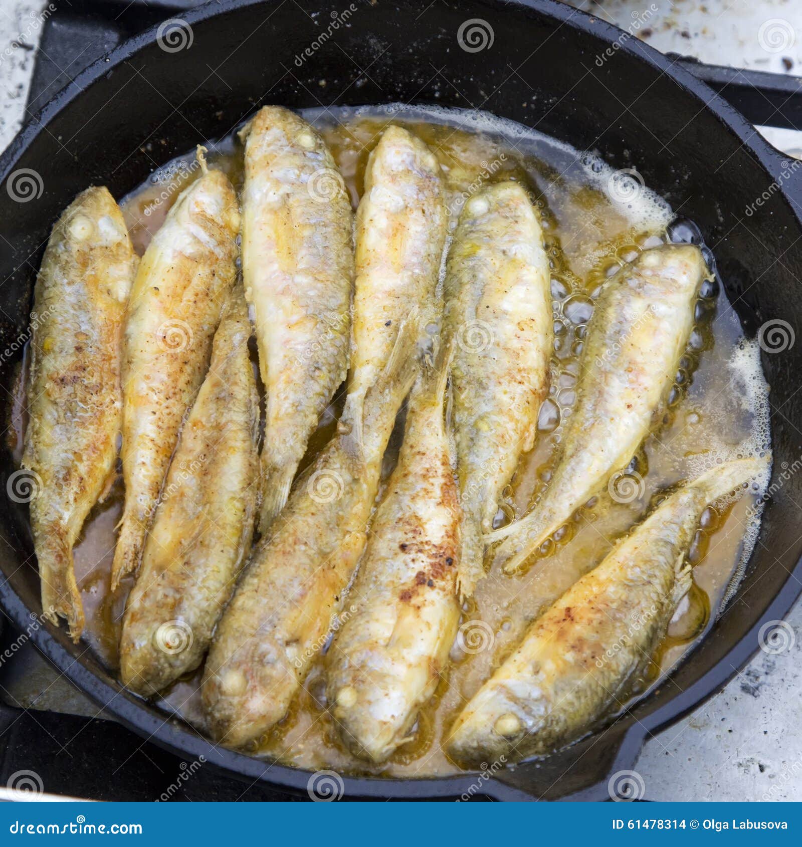 Fish Surmullet in the Cooking Process Stock Photo - Image of eating ...