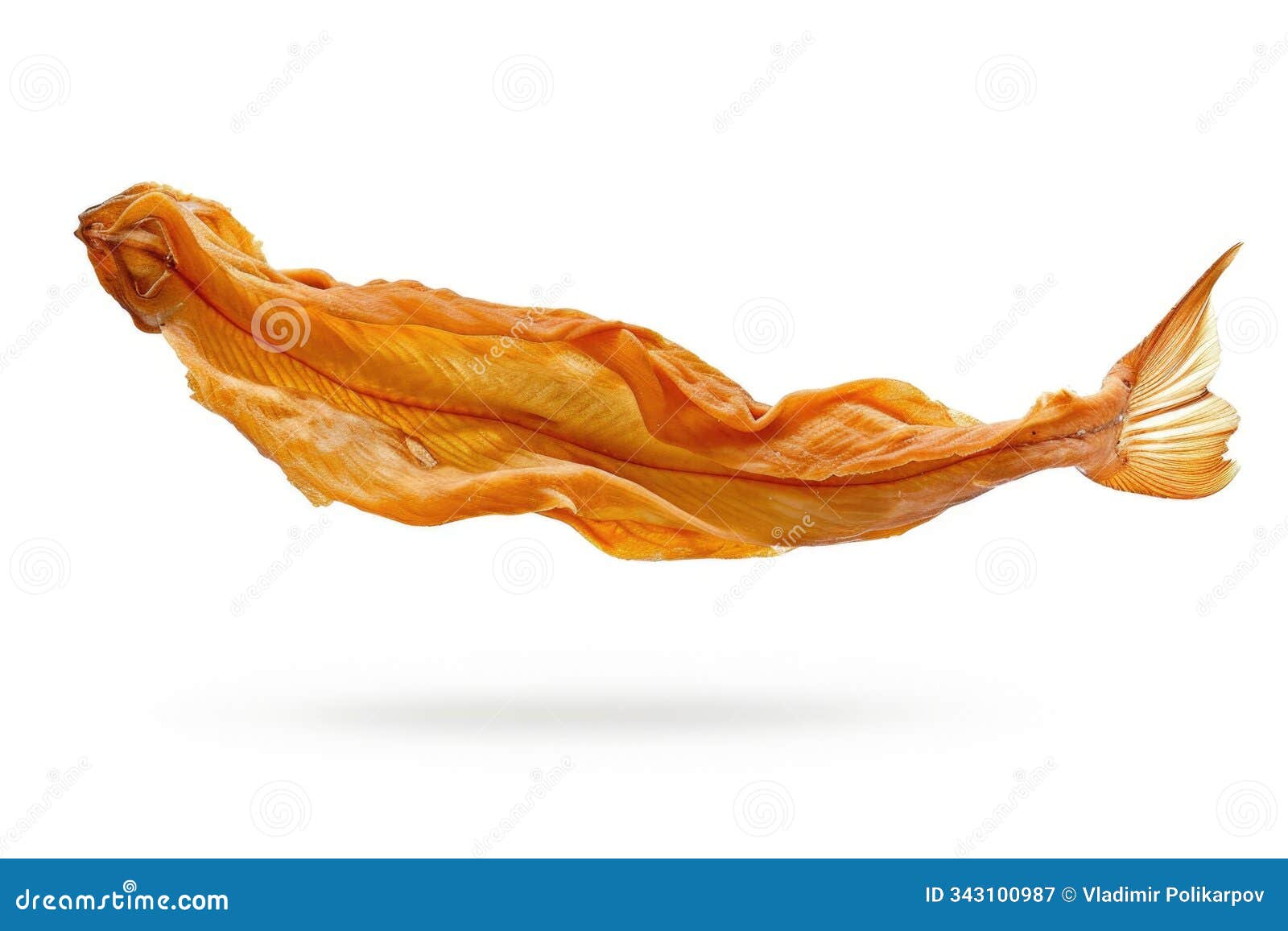 A Fish Suspended in Mid-air, Defying Gravity Stock Image - Image of ...