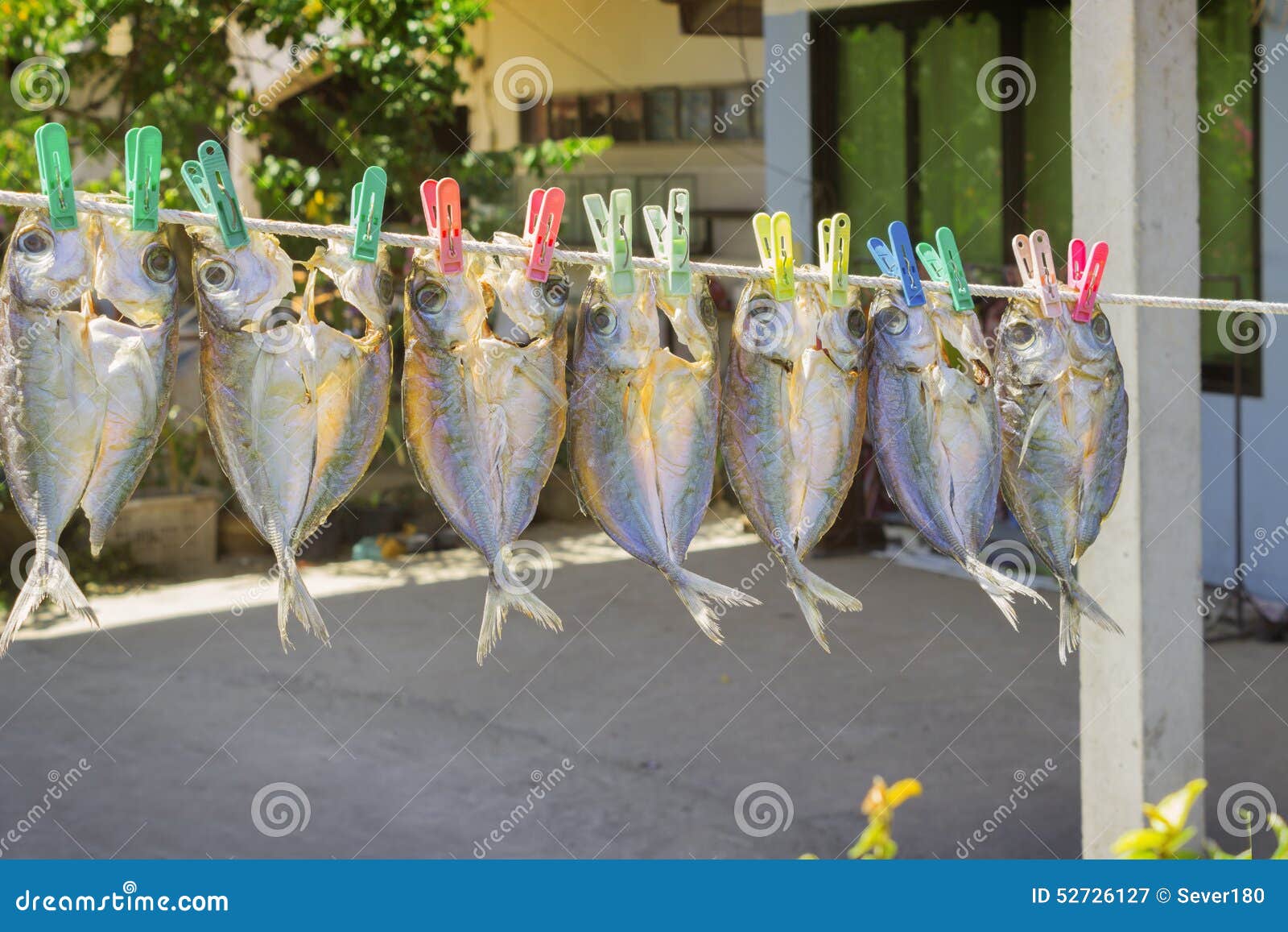 Fish are Suspended on a Rope and Dried Stock Image - Image of animal ...