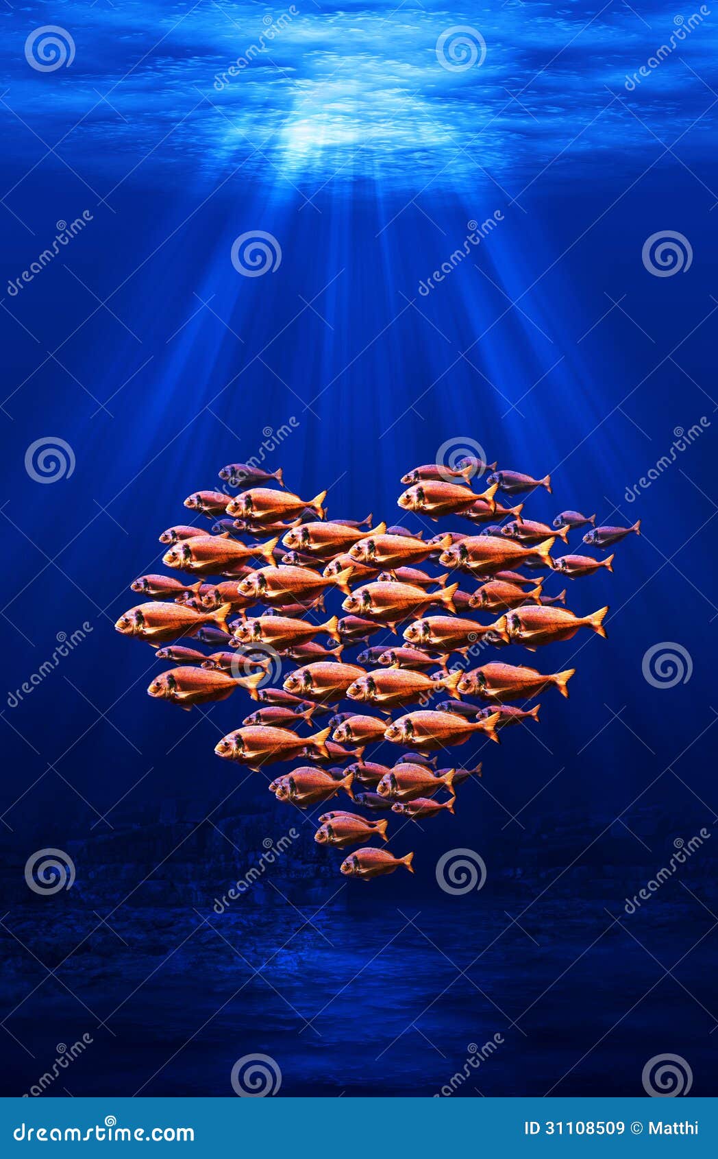 Fish swarm forming a heart stock image. Image of concept - 31108509
