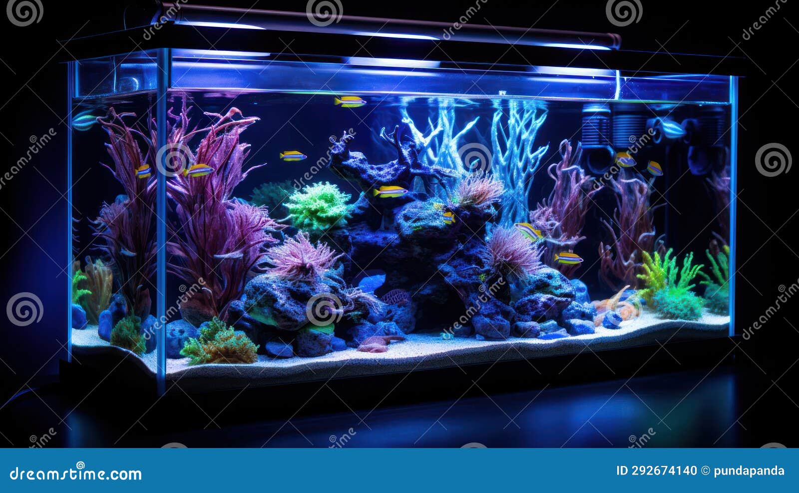 Fish Swim in a Blue Neon Aquarium Stock Photo - Image of decoration ...