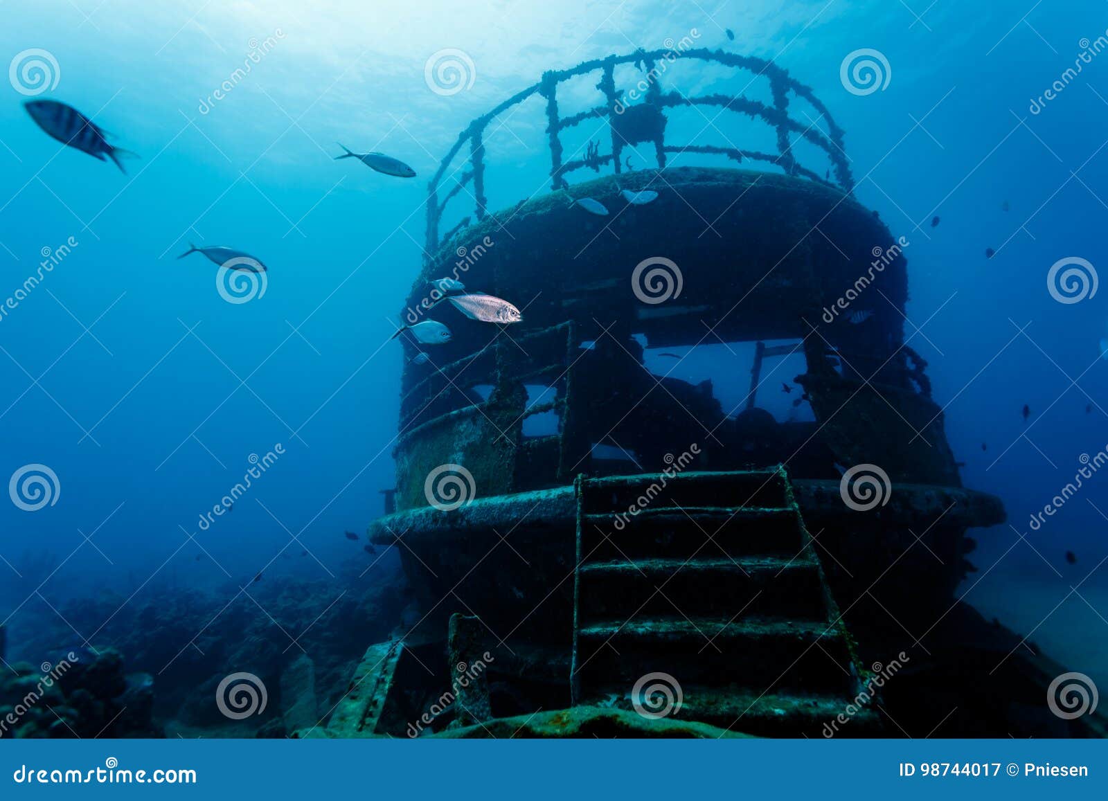 Fish Swim through Remains of Underwater Shipwreck Stock Image - Image ...