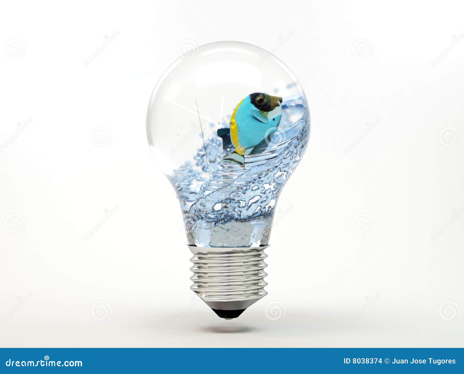 Fish Swimming in Light Bulb Stock Photo - Image of incandescent, water ...