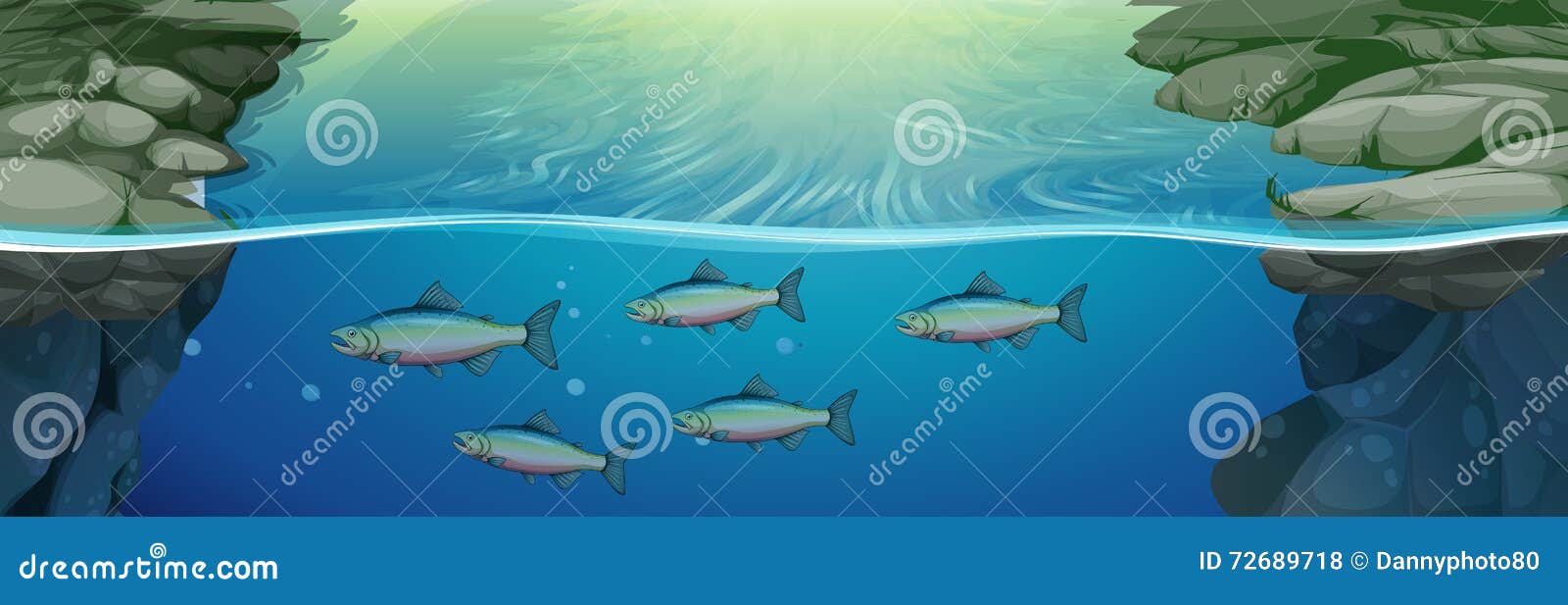 River Fish Cartoon Vector | CartoonDealer.com #27523985