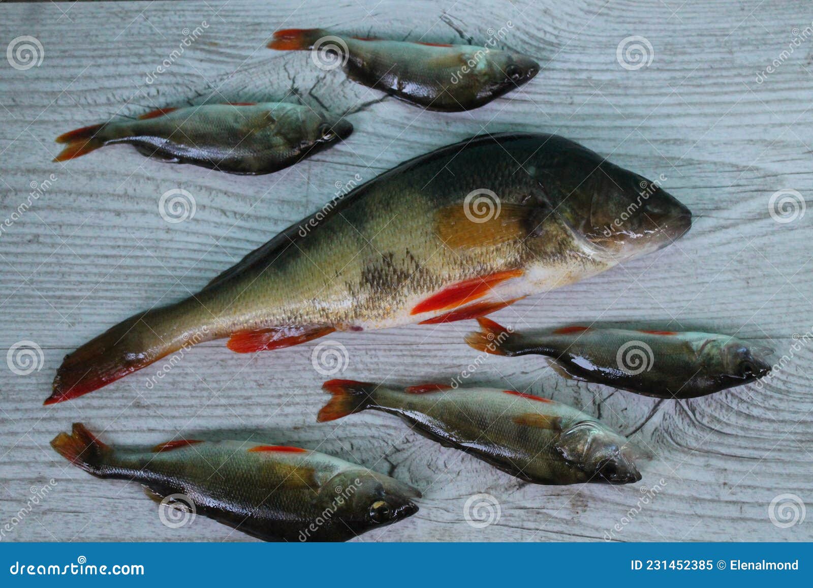 Fish on the table stock image. Image of bait, dinner - 231452385