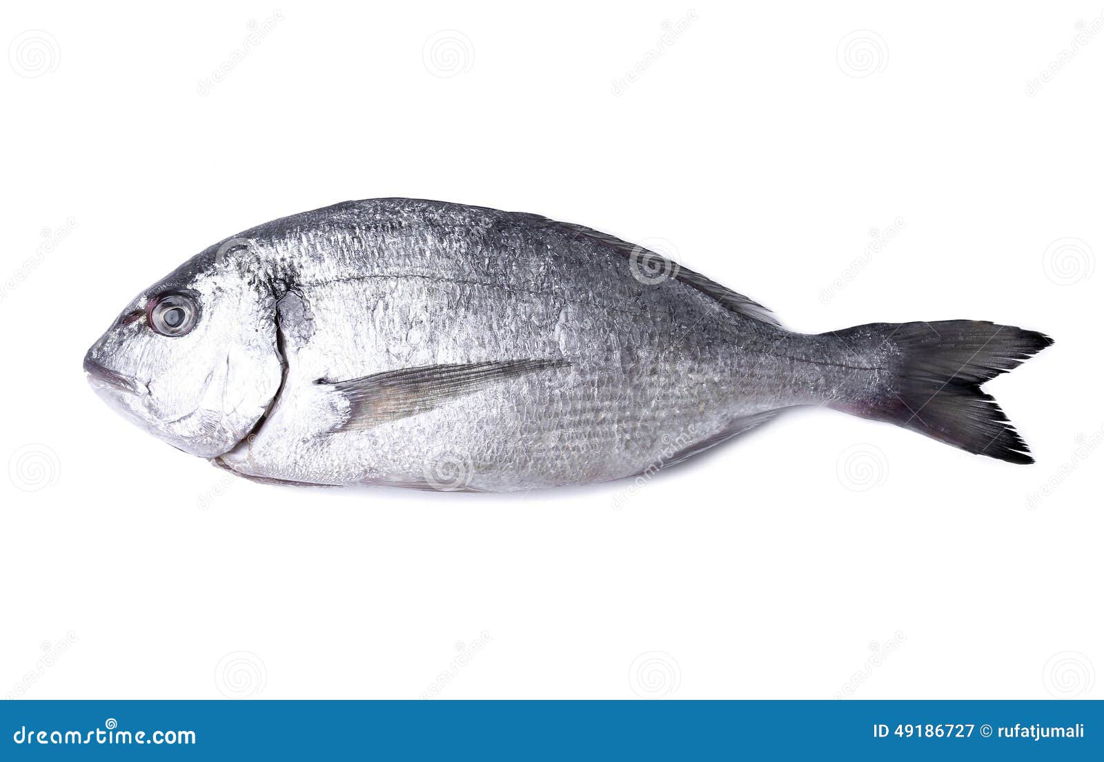 Fish on the table stock image. Image of food, omega, eating - 49186727