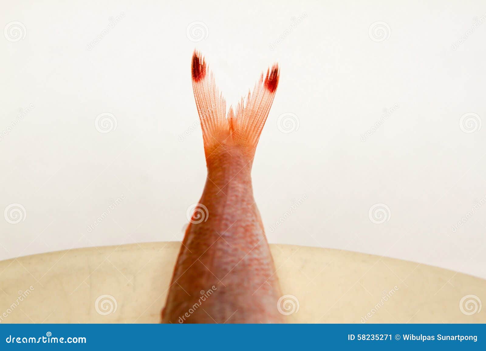 Fish Tail on Dish on White Background Stock Image - Image of closeup ...