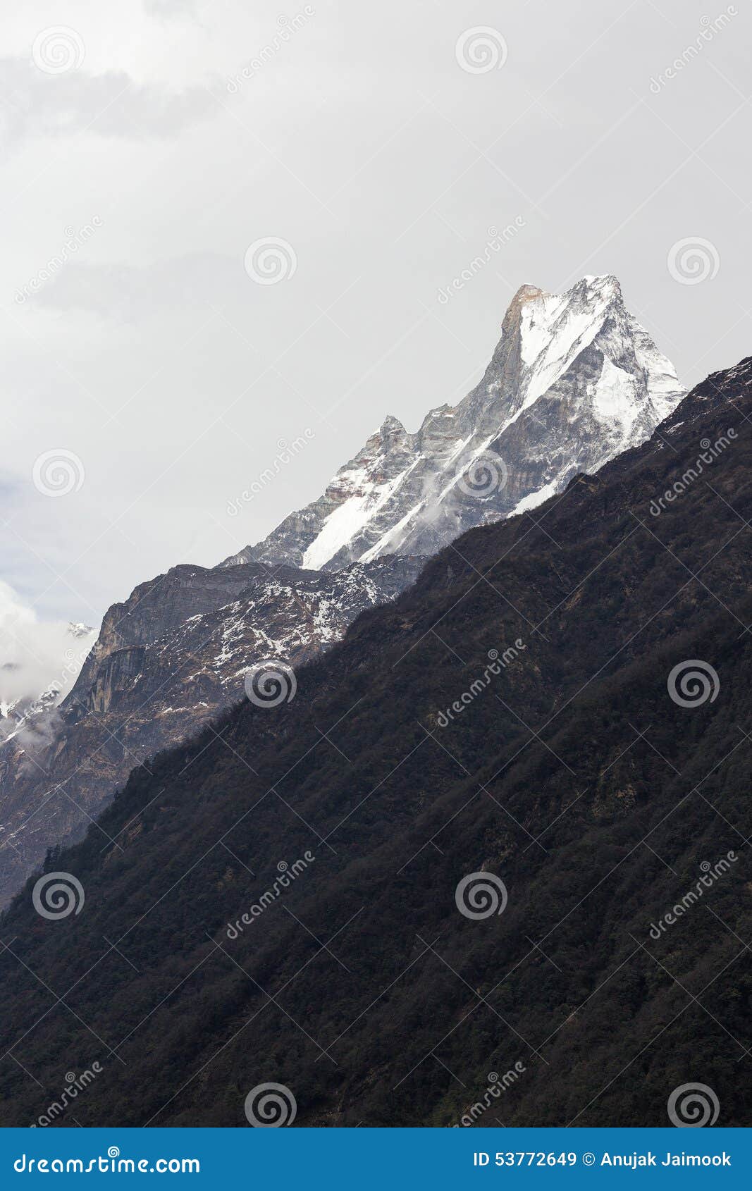 Fish Tail or Mt.Machhapuchhare in Annapurna Trekking Trail, Nepal Stock ...