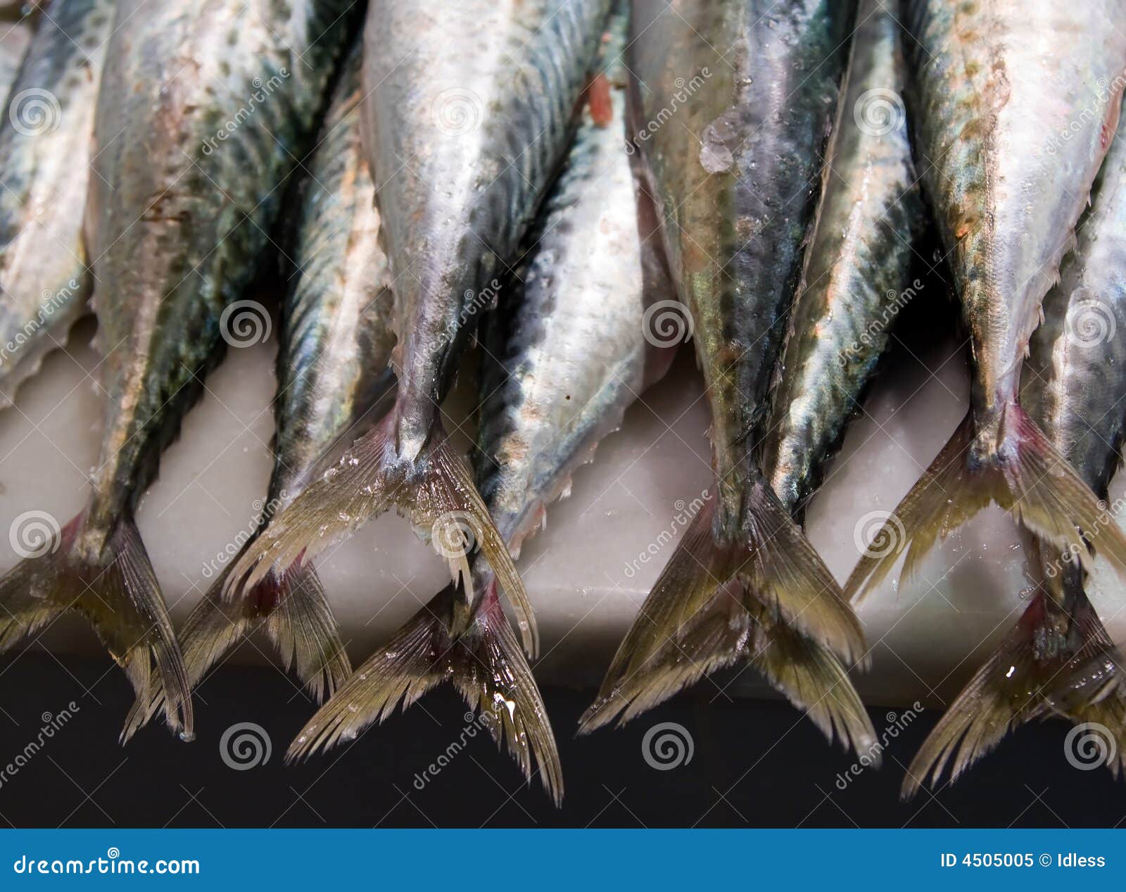 Fish tails stock image. Image of meal, tail, healthy, food - 4505005