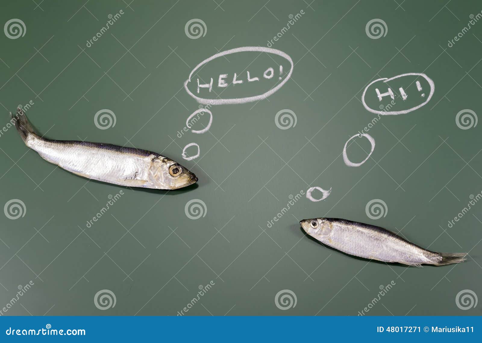 Two fish stock image. Image of inferior, chalk, signs - 48017271