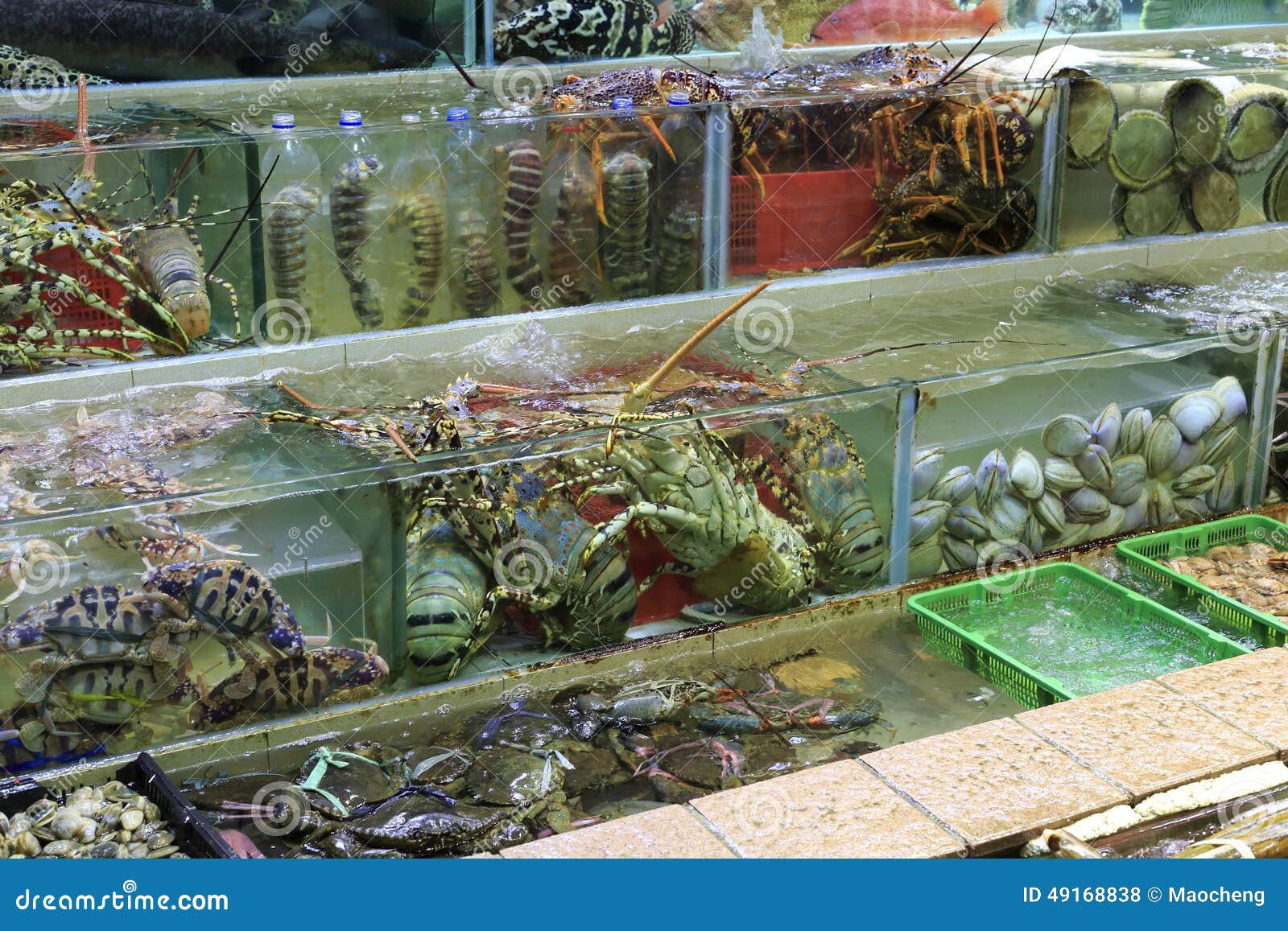 Fish Tank of Seafood Restaurant Stock Photo - Image of objects, eating ...