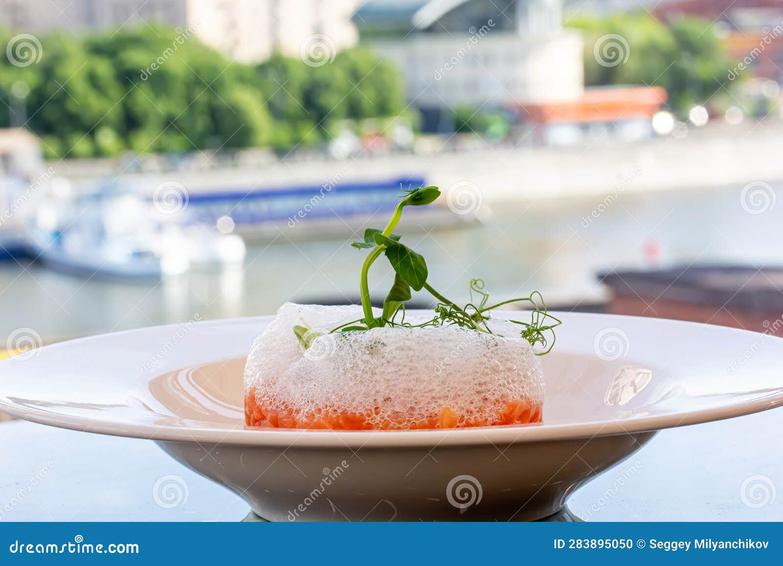 Fish Tartare with Parmesan Foam Stock Photo - Image of cooked, dinner ...