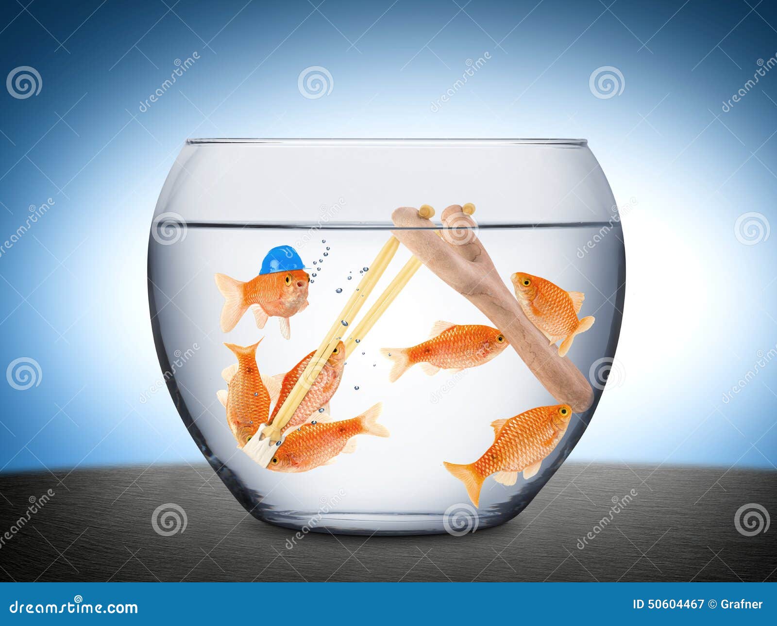 Fish teamwork concept stock image. Image of employees - 50604467