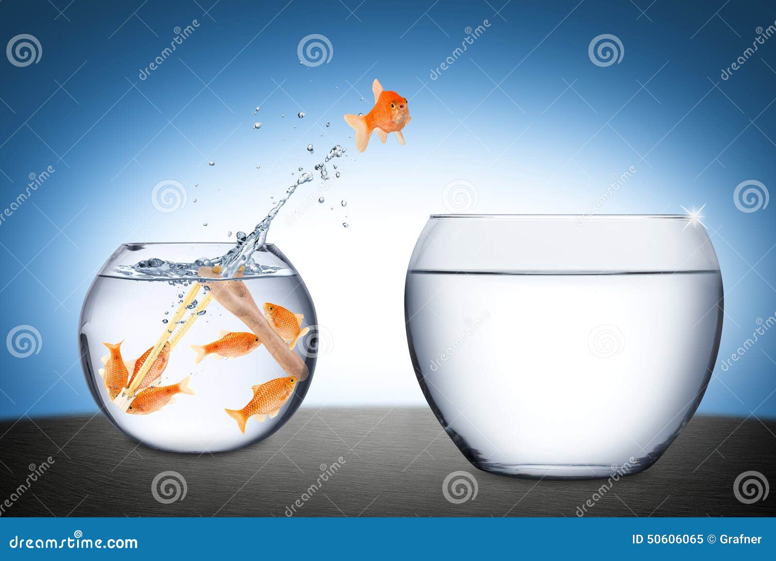 Fish teamwork concept stock image. Image of situation - 50606065