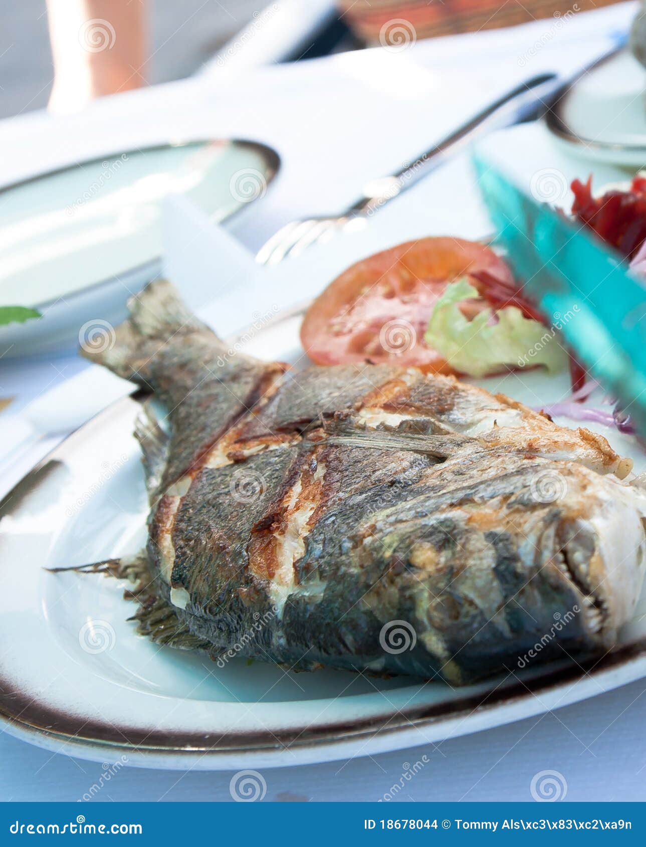 Fish in Tenerife stock photo. Image of fish, plate, supper - 18678044