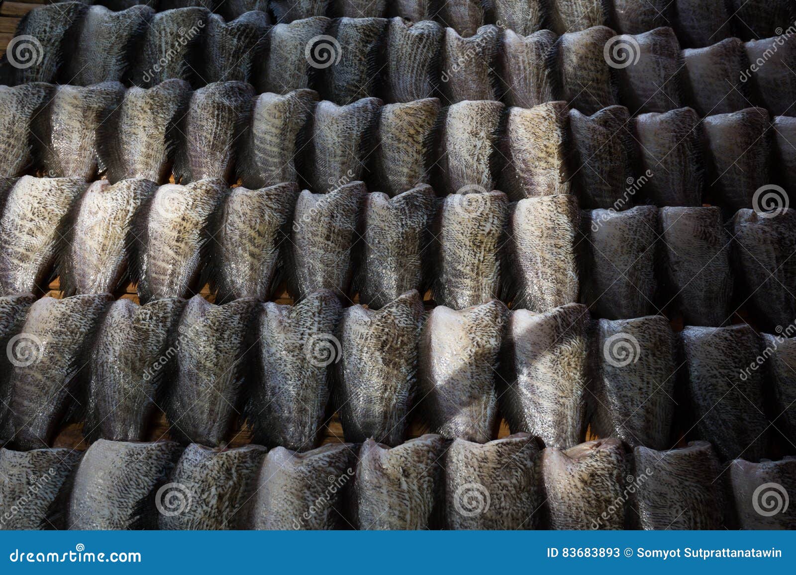 Fish Texture Background Stock Photo | CartoonDealer.com #59214024